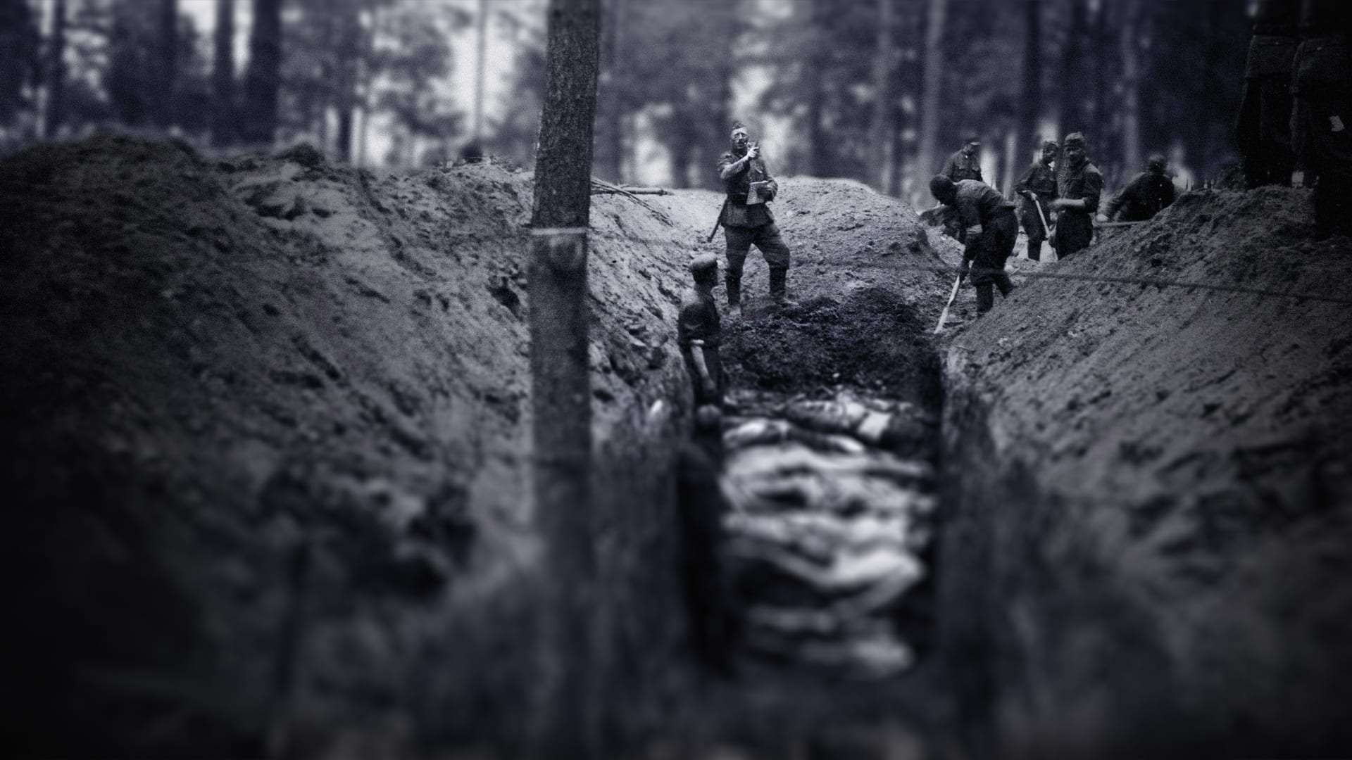 Natsi-Saksa ja Suomi | Yle Areena