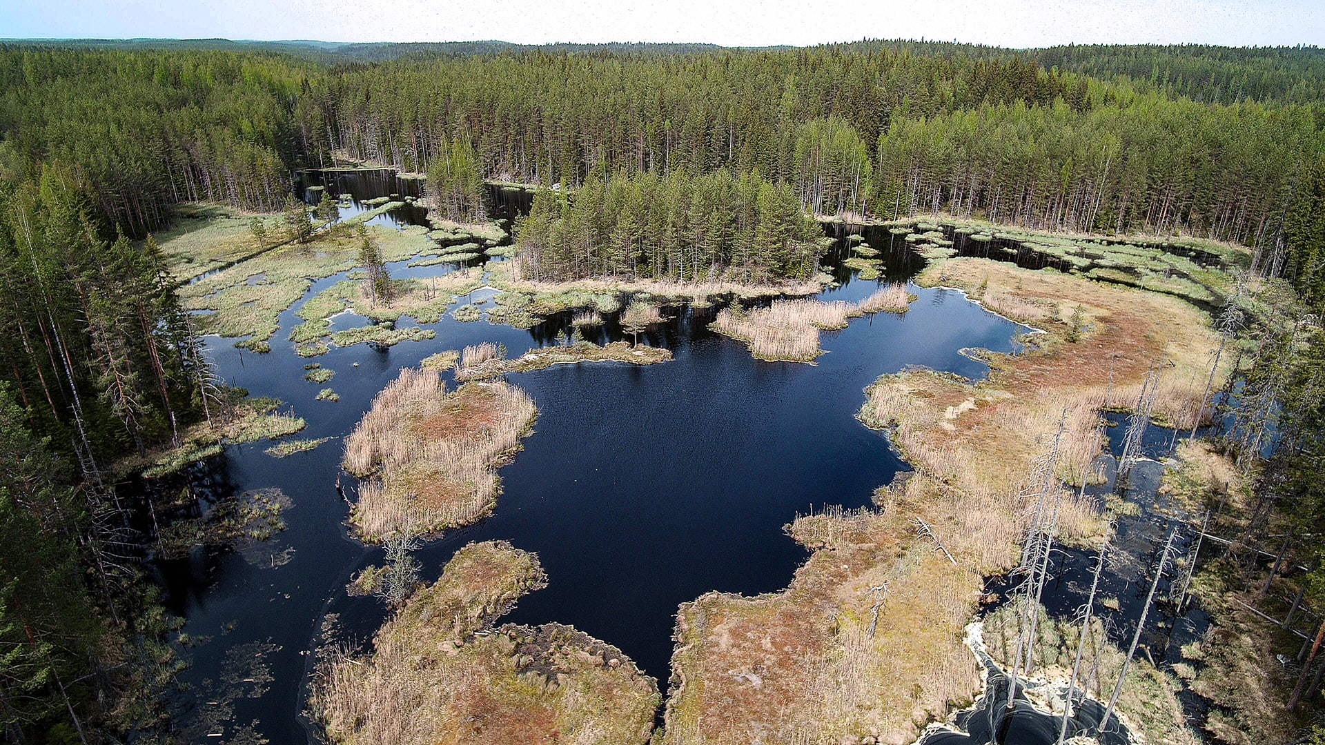 Majava | Tarinoita järviltä | Yle Areena