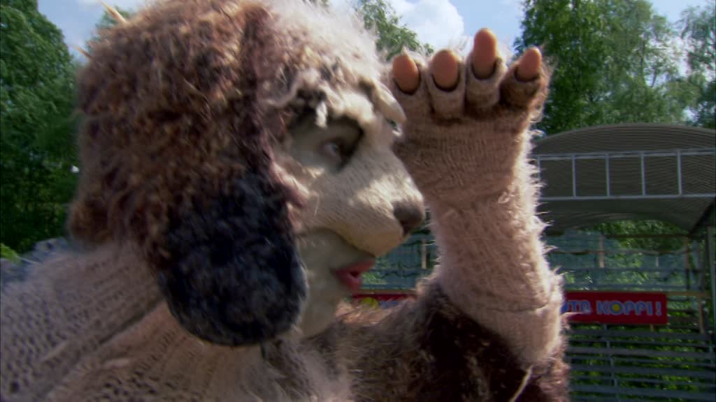 Ota koppi! | Yle Areena