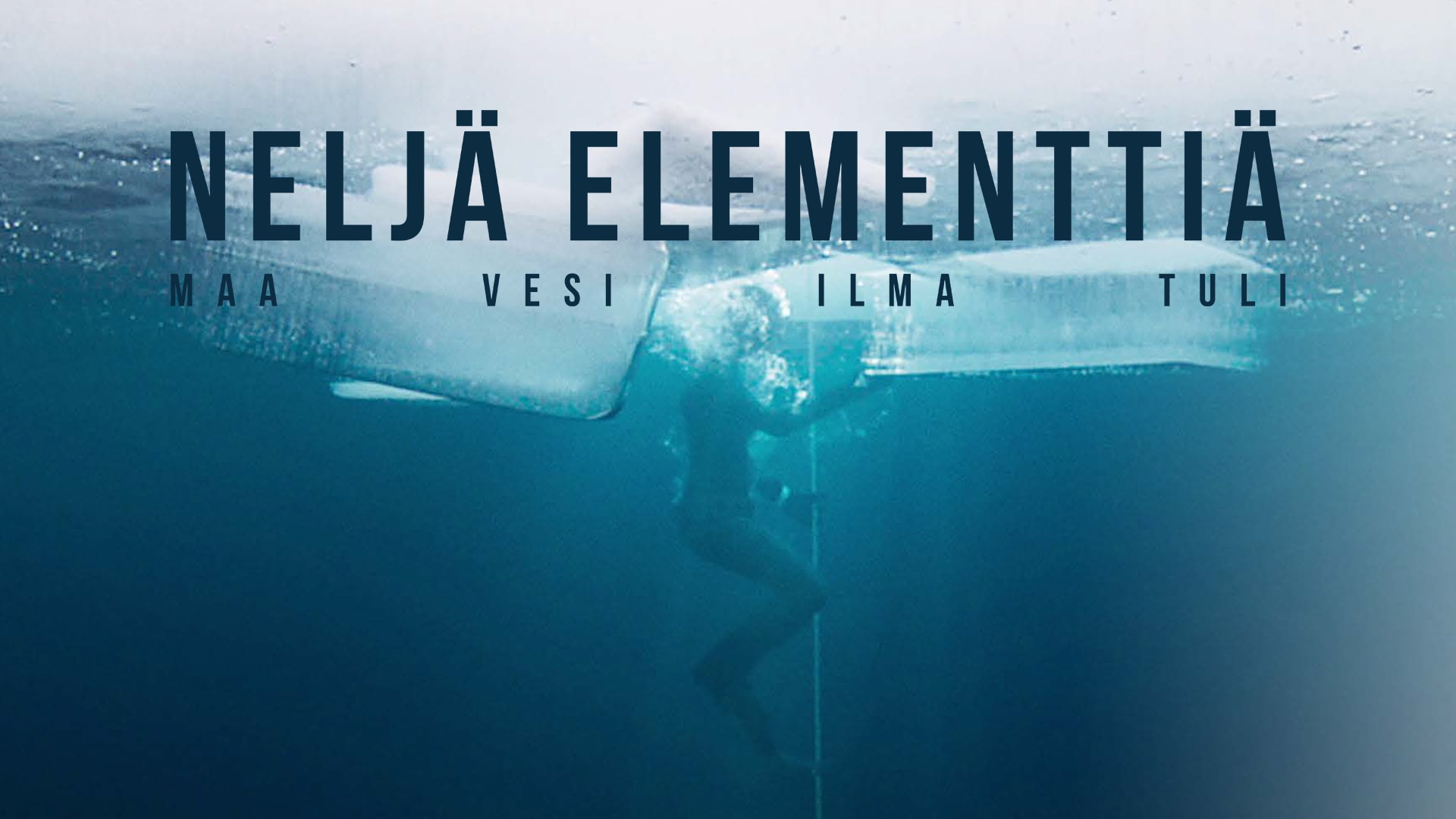 K1, J2: Vesinokkaeläin | Eläintarhan vilkas elämä | Yle Areena