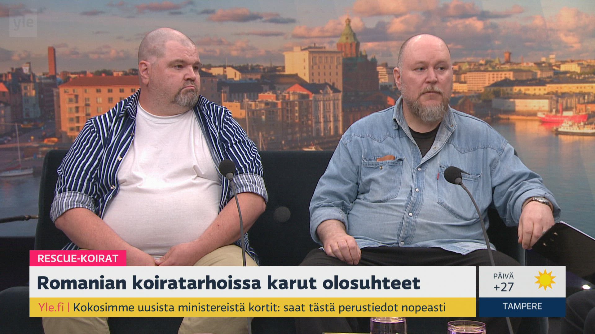 Rescue-koirien tarina Romaniasta Suomeen | Yles morgon | Yle Arenan