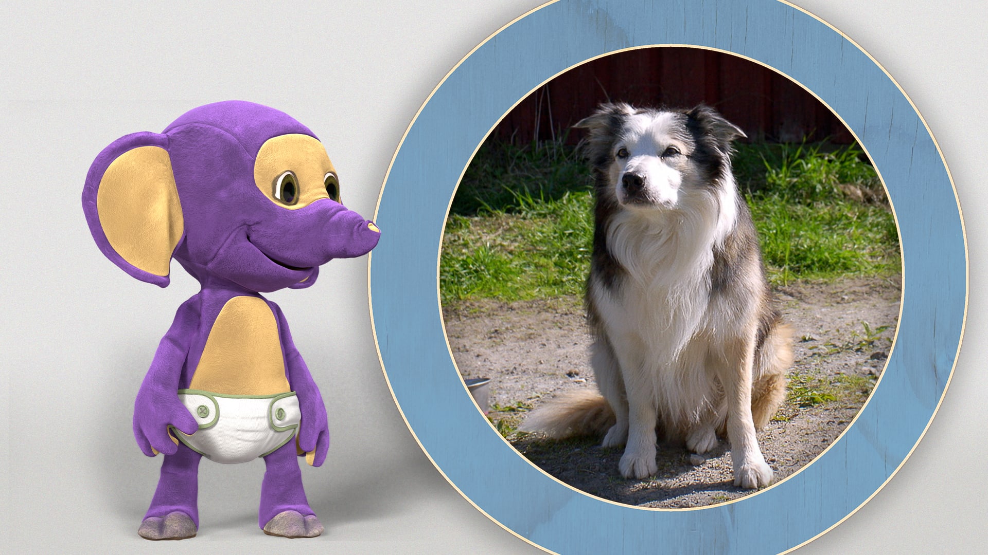 Fantti ja eläimet | Yle Areena