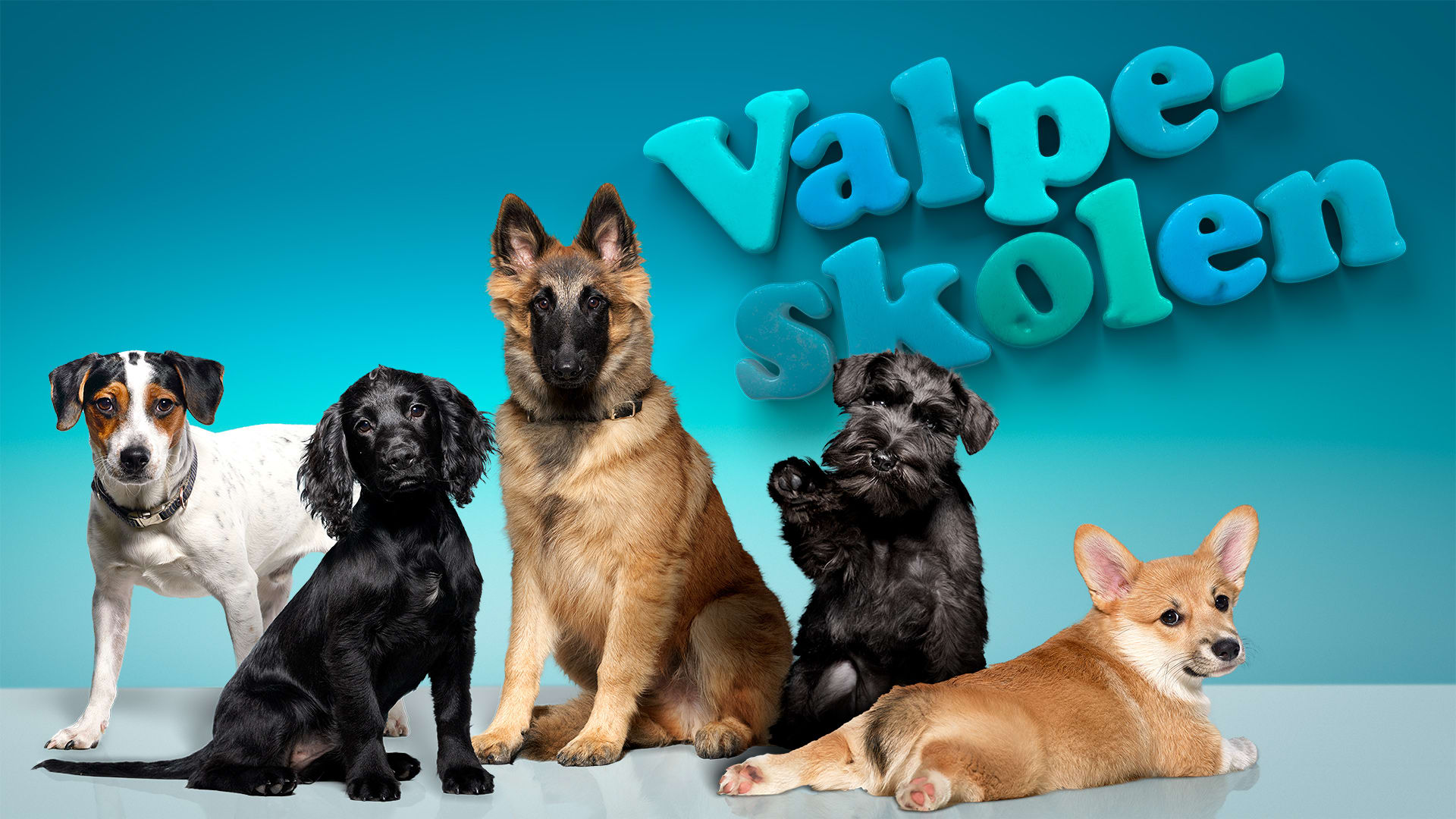 Pentulive 2023 Sinin esittelyvideo | Pentulive | Yle Areena