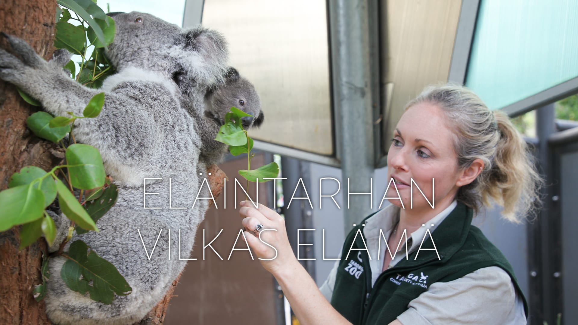 Gino perheineen Italiassa | Yle Areena