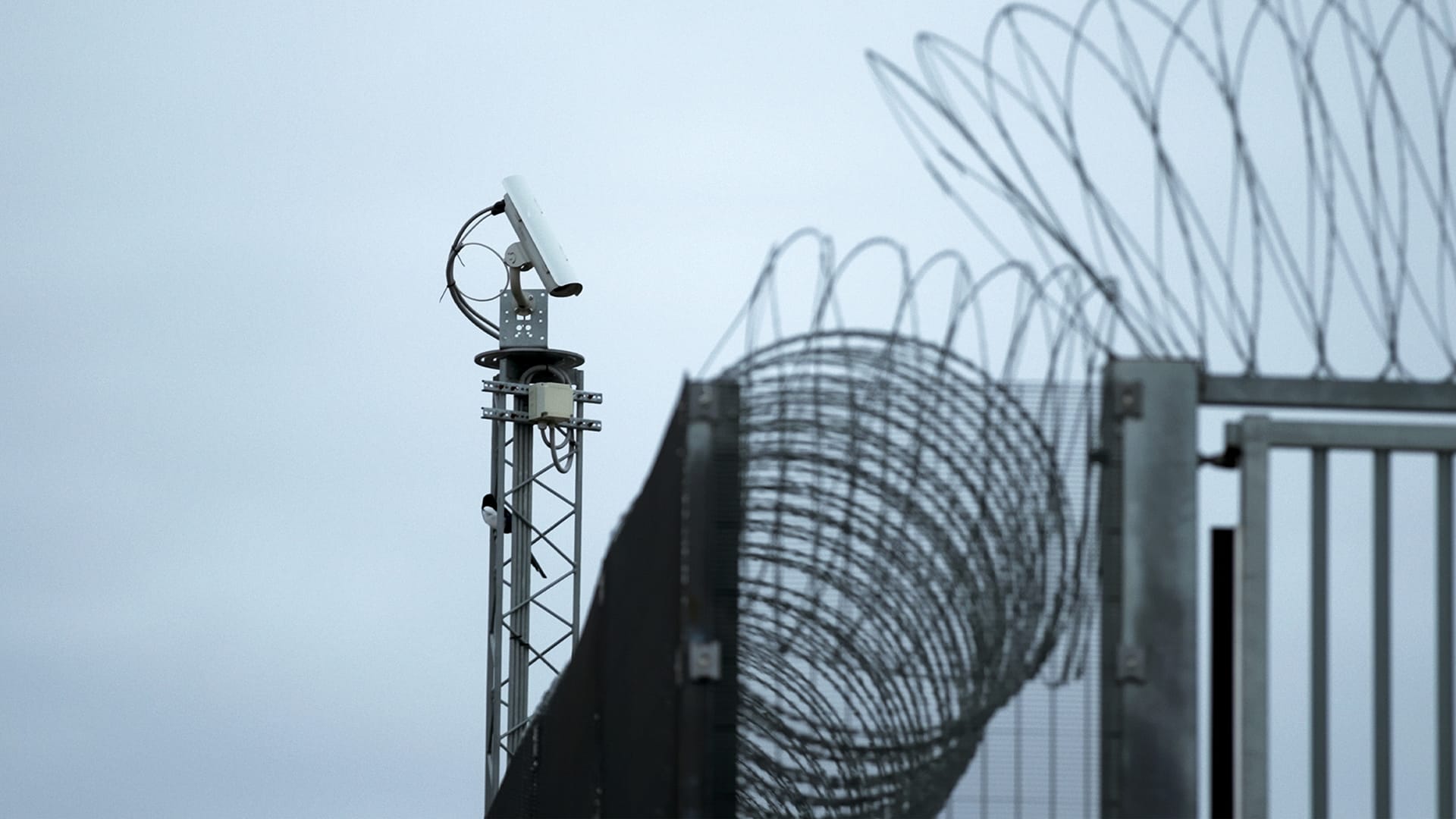 K1, J3: Vangittu | Richard Olsson - häpeämätön yritysjohtaja | Yle Areena