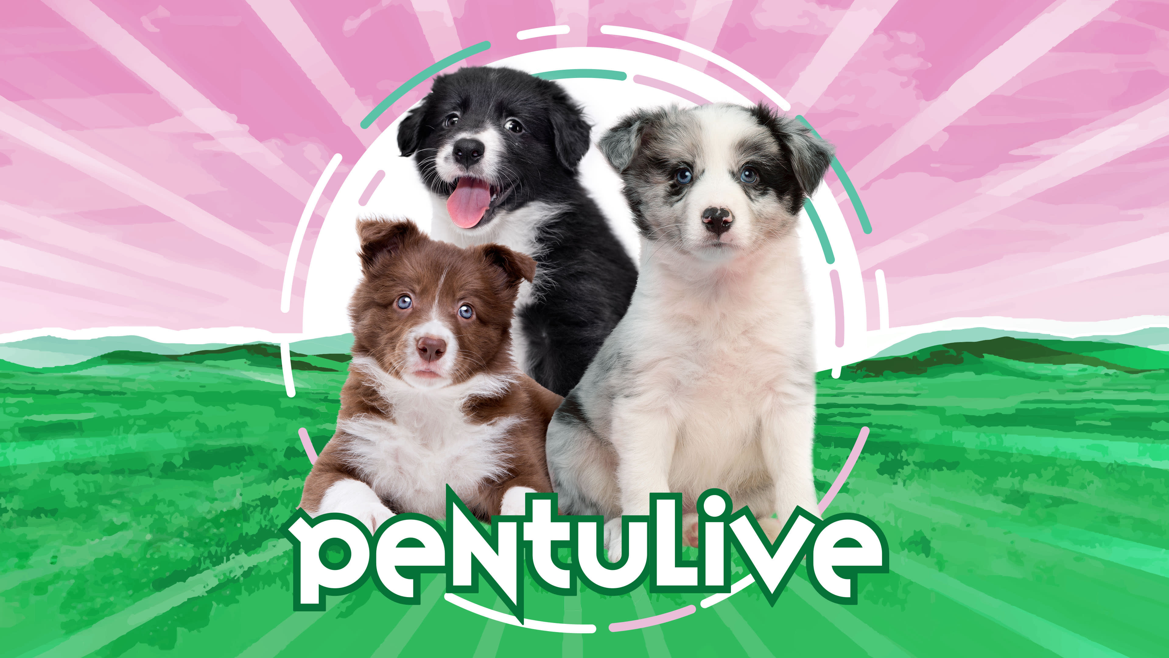 Pentulive 2024 | Pentulive | Yle Areena