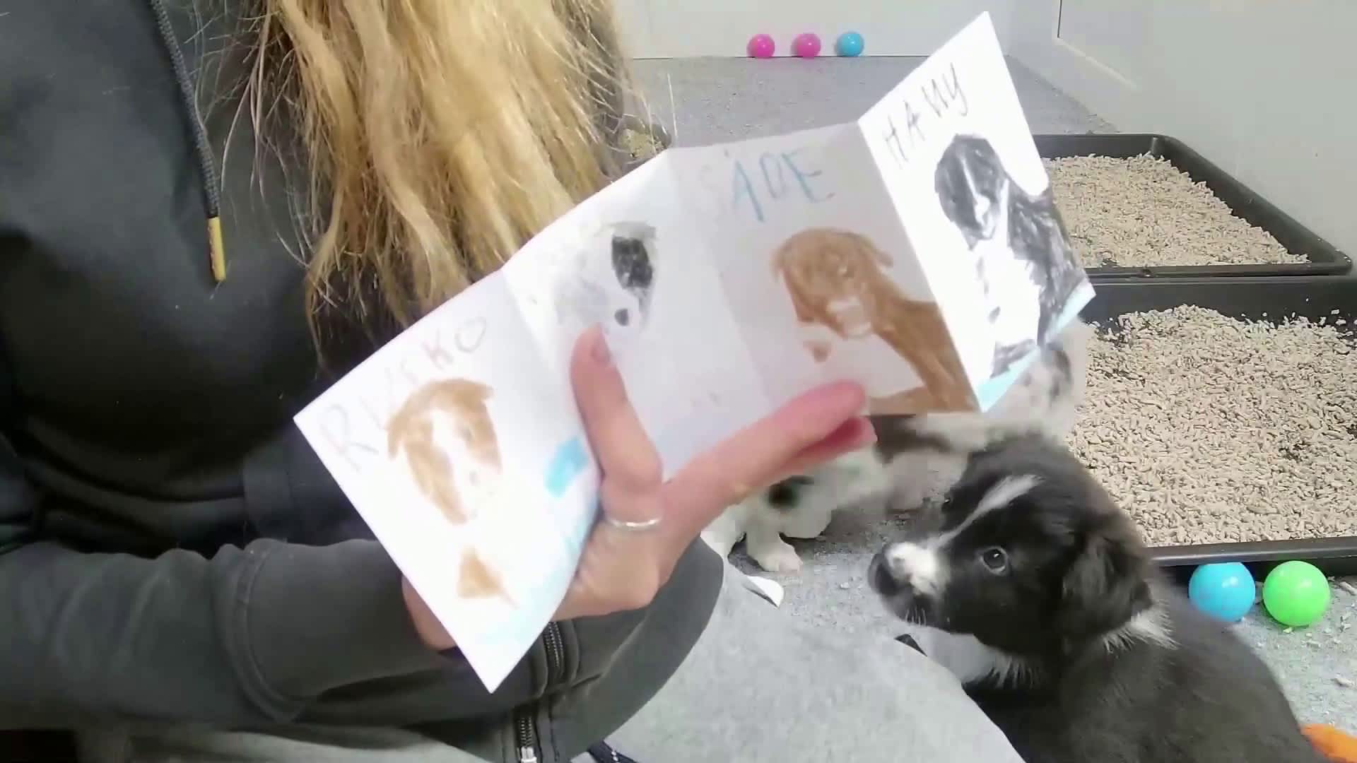 Pentulive-taiteen esittely | Pentulive | Yle Areena