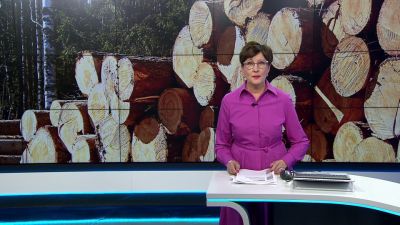 Yle TV1 – yle.fi
