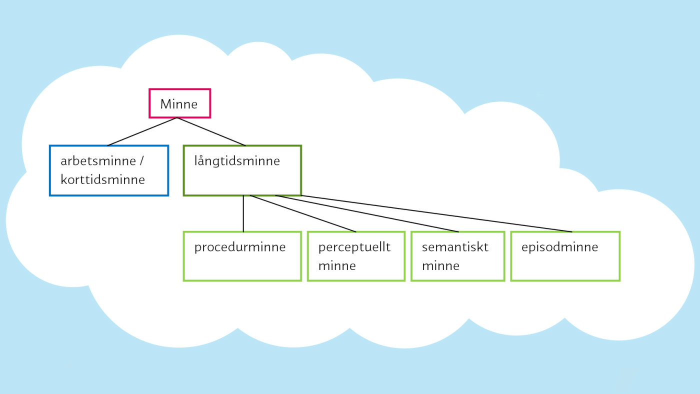 Hur fungerar minnet? | Vetamix | svenska.yle.fi