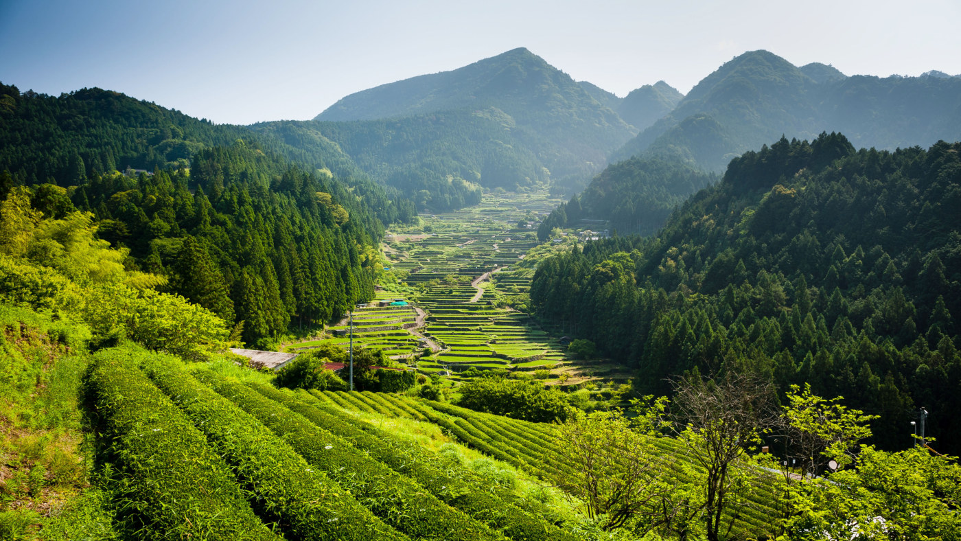 Avara luonto: Villi Japani – lumen ja jään maisemista tropiikin lämpöön ...