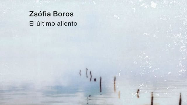 Zsófia Boros - surumielisen kitaran mestari – Musiikki – yle.fi