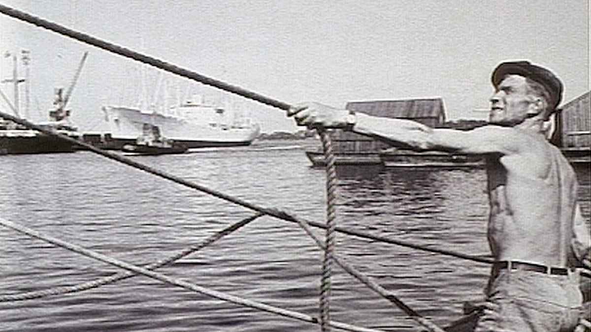 Kotkan poikii ilman siipii – satamakaupungin legendaariset muusikot ...