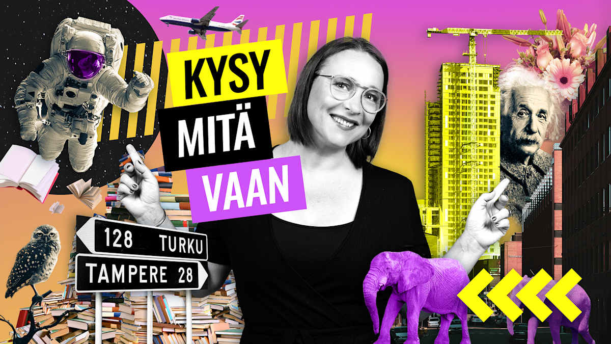 Kysy mitä vaan kuurolta: Onko viittomakieli sama kieli kaikkialla ...