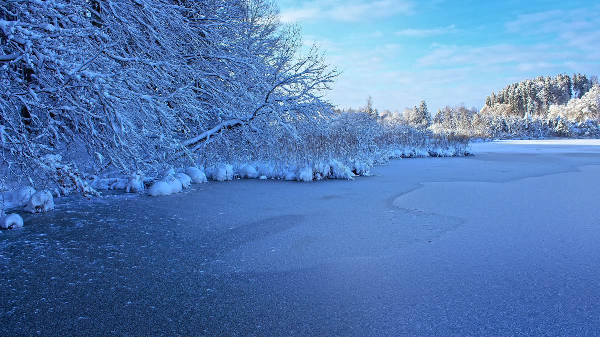 Toivo musiikkia tammikuun talvi-iltaan – Yle Radio 1 – yle.fi