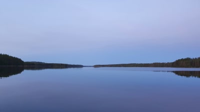 “Kuusen persiiseen olen käynyt monet surut itkemässä” – rakkaus ...