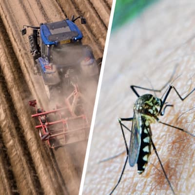 Kollage av fyra bilder föreställande en traktor, en mygga, solen som lyser genom löv och en klocka.