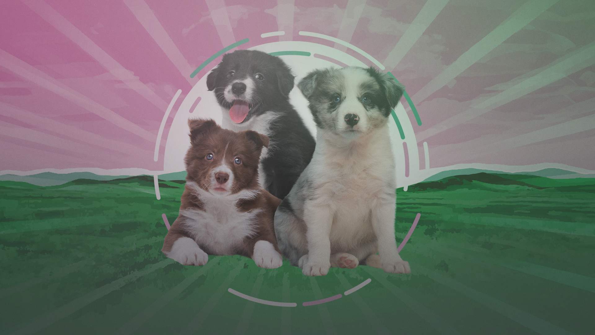 Pentulive | Yle Areena