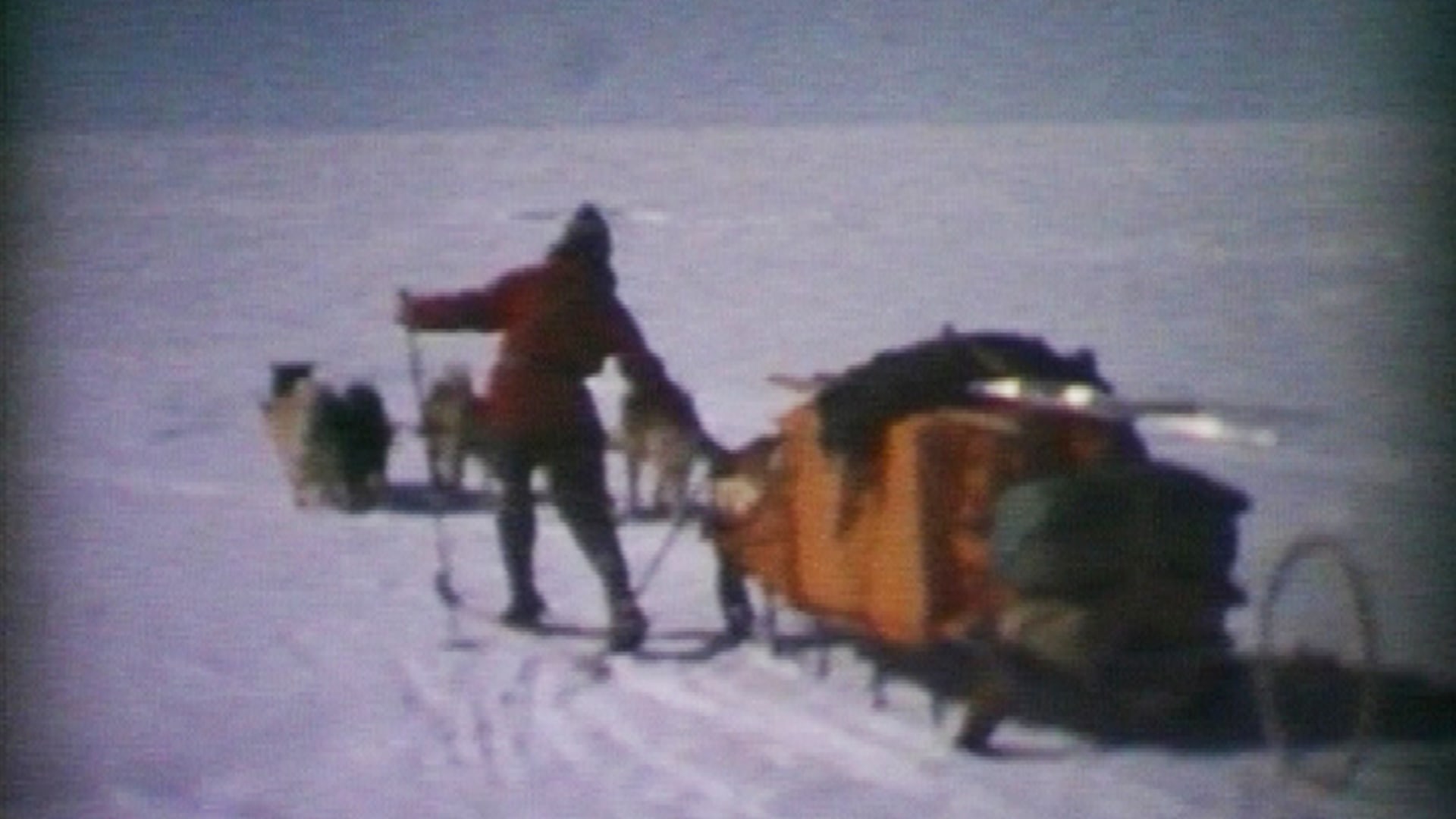 Grönlannin halki hiihtäen | Yle Areena