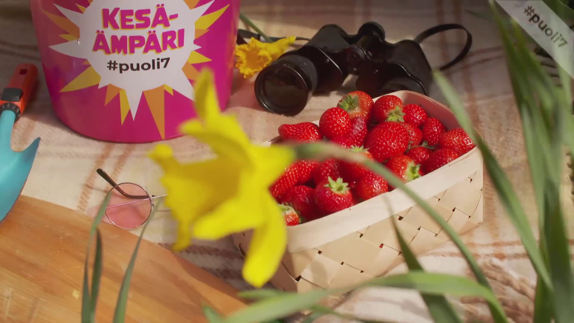 Puoli seiskan kesä-ämpäri täyttyi lomasuunnitelmista | Puoli seitsemän ...