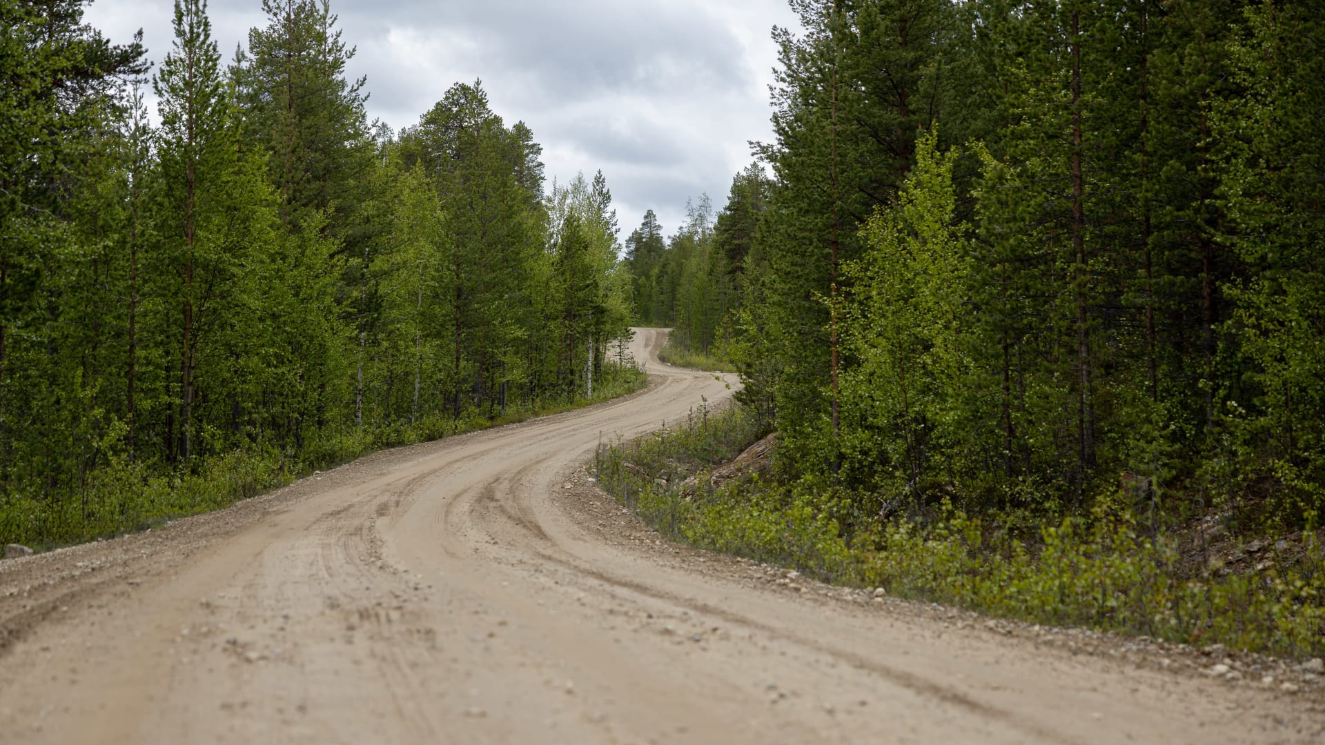 Tälläinen on Inarin Nanguniemen kapea soratie, jonka päähän ...