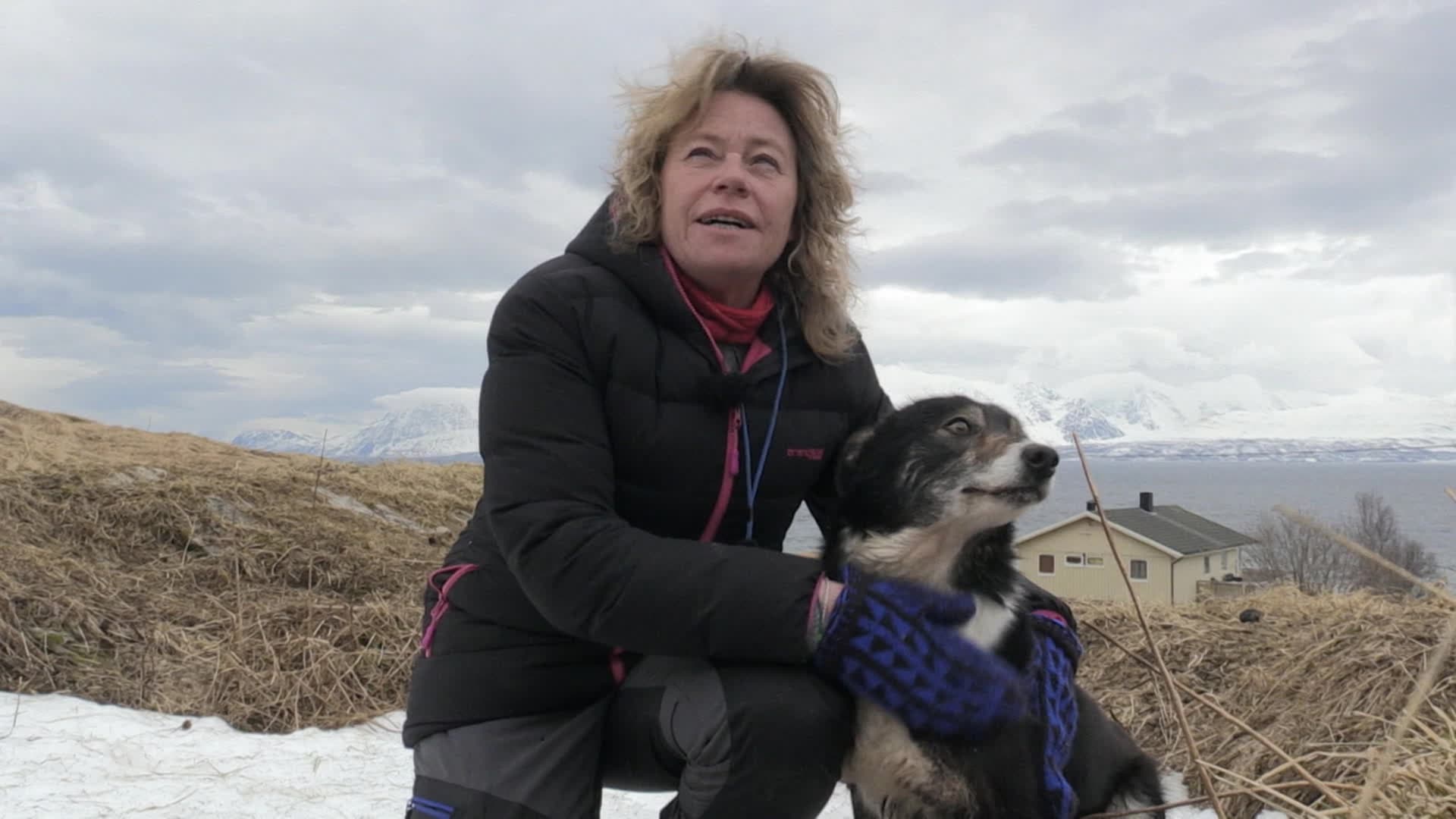 Reinøyan paimenkoirat | Yle Areena