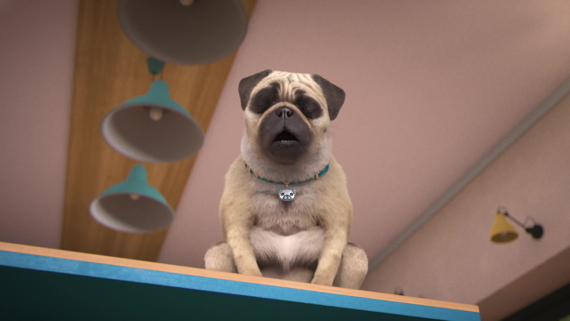 Mopsin moka | Mahti-Mopsi | Yle Areena