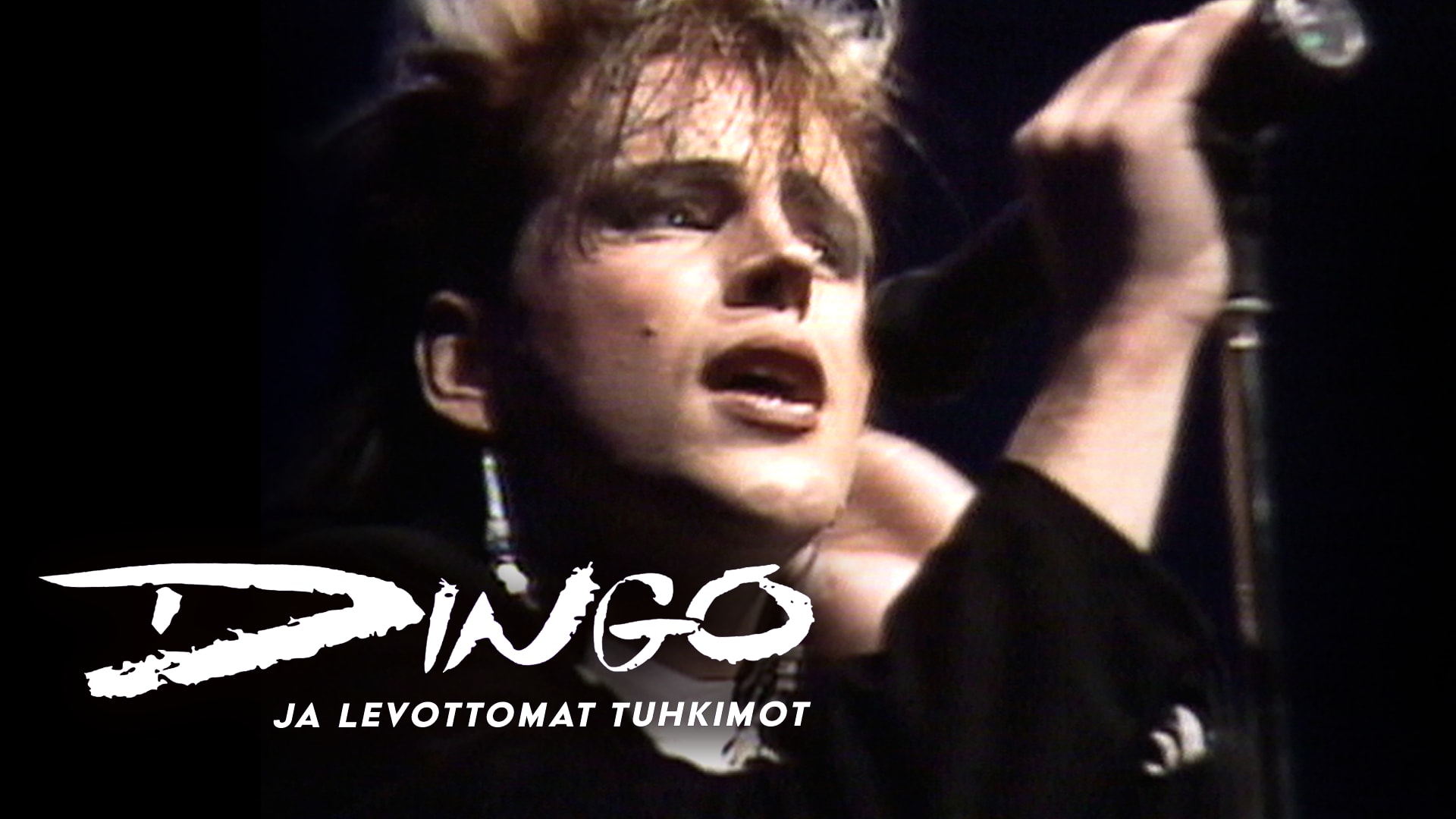 Dingo ja levottomat tuhkimot | Yle Areena