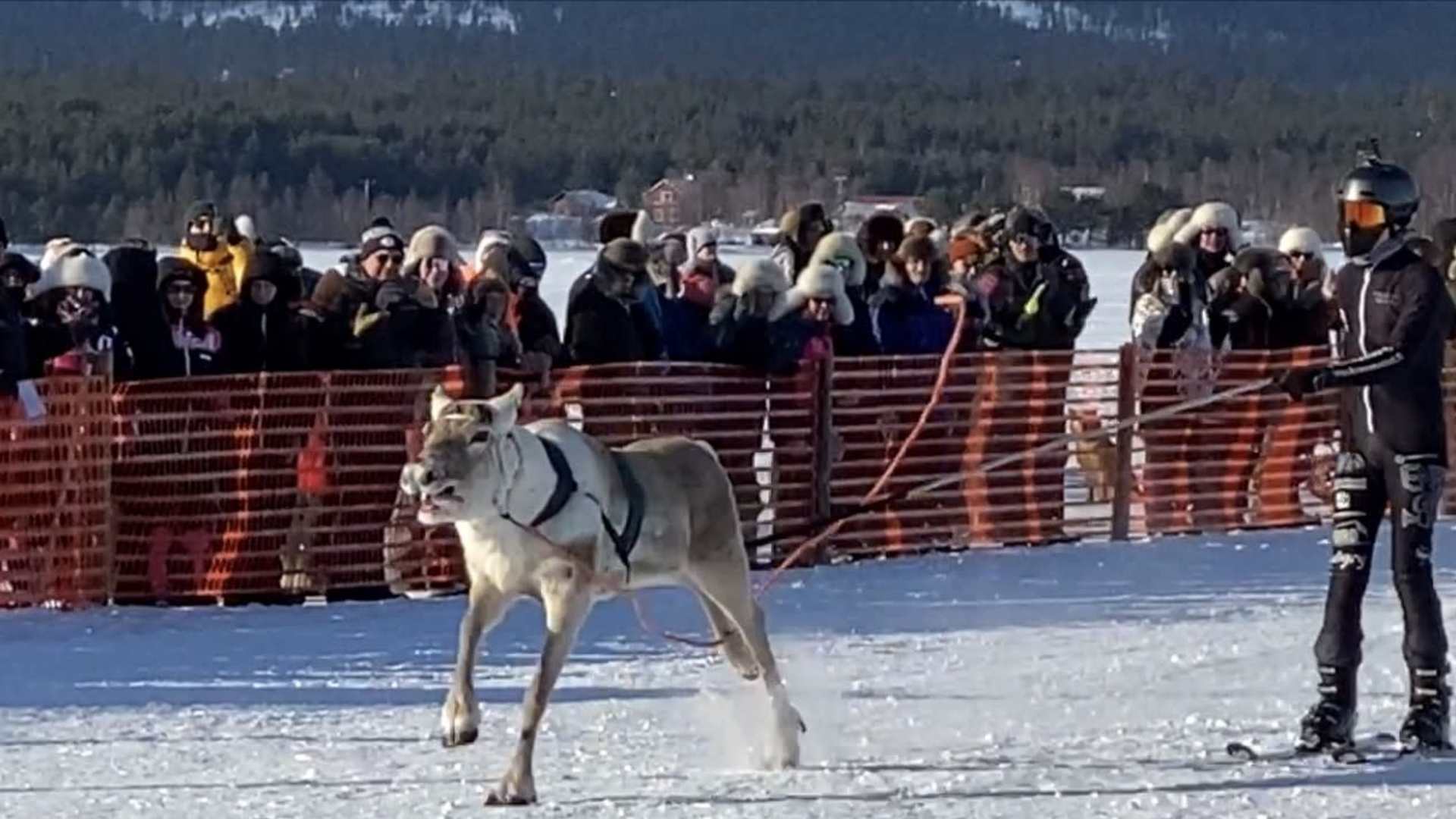 Gonagasgilvvut Anáris 2024 | Yle Säämi videoh - Yle Sámi videot - Yle ...
