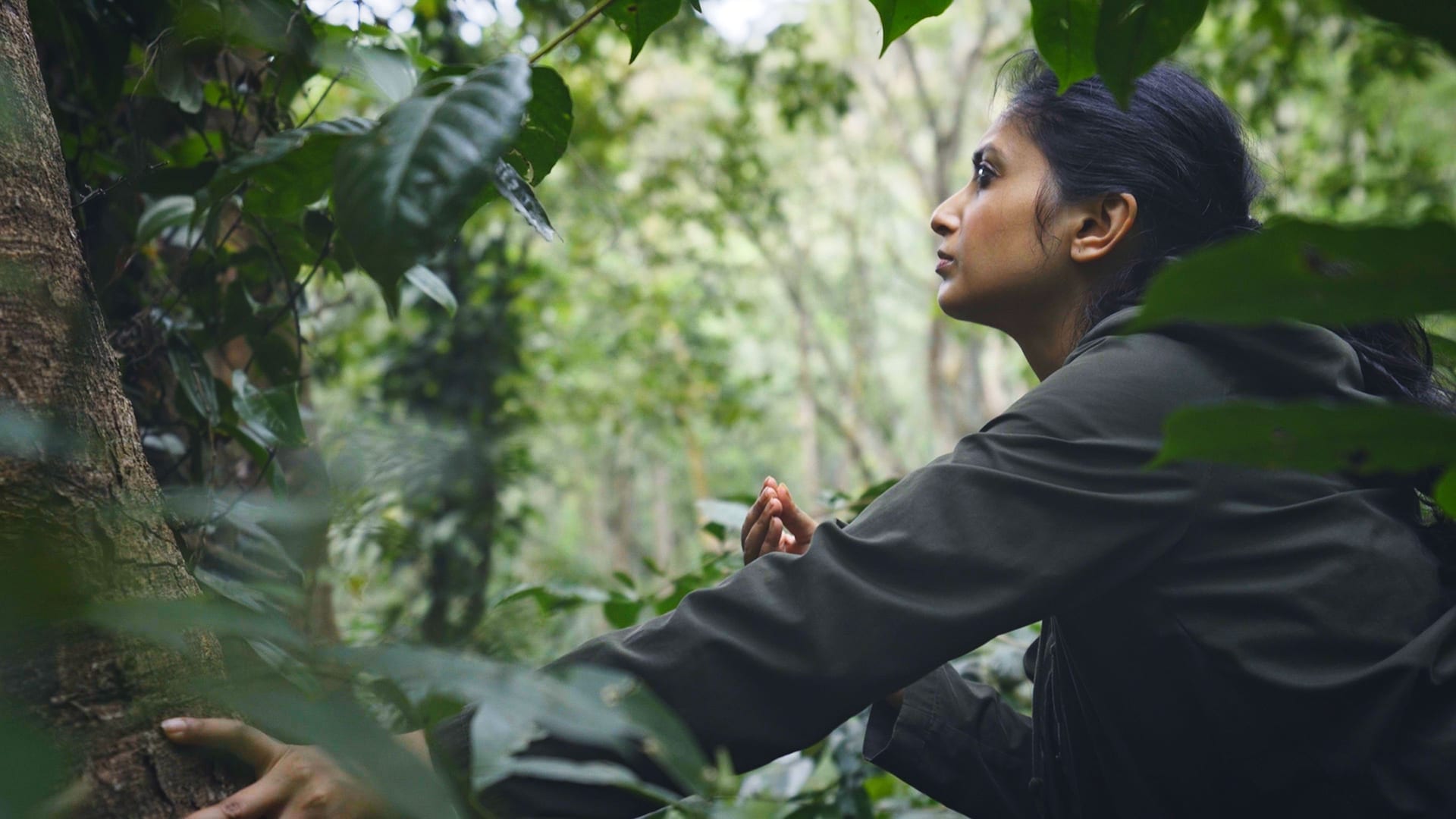 K1, J2: Kesytetty luonto taiteessa | Luonto, ihminen ja taide | Yle Areena
