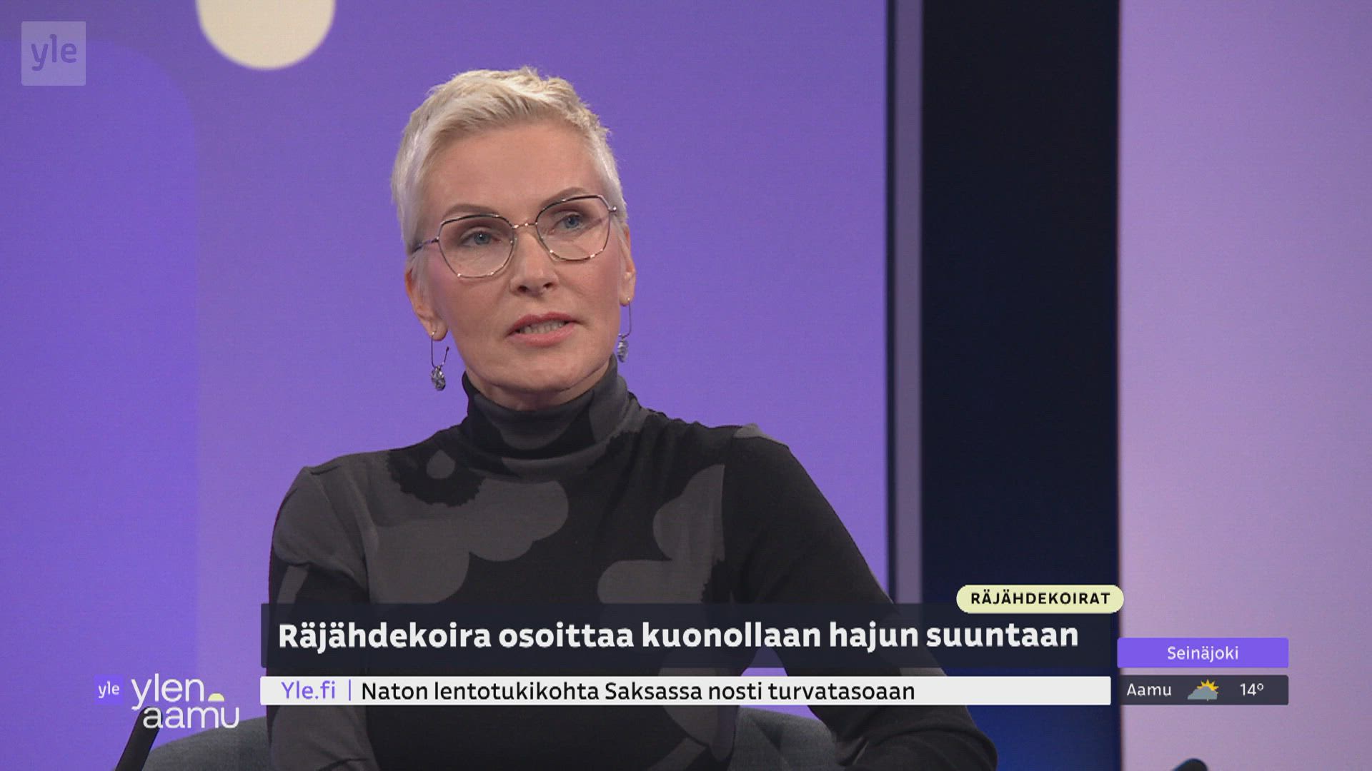 Räjähdekoirien koulutus ja käyttö työmailla | Yles morgon | Yle Arenan