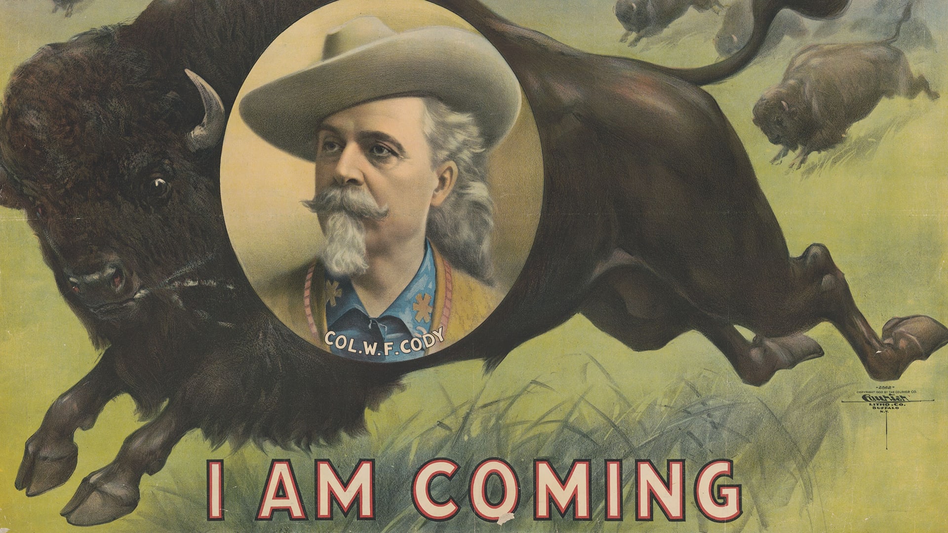 K1, J2: Taloudellinen hyöty | Amerikan biisonin tarina | Yle Areena