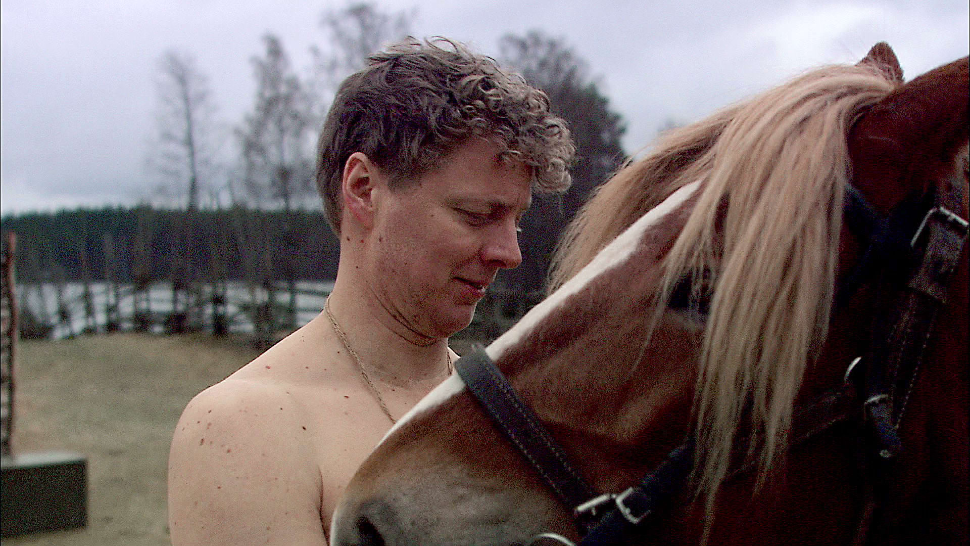 K1, J1: Suruviesti | Tauno Tukevan sota | Yle Areena