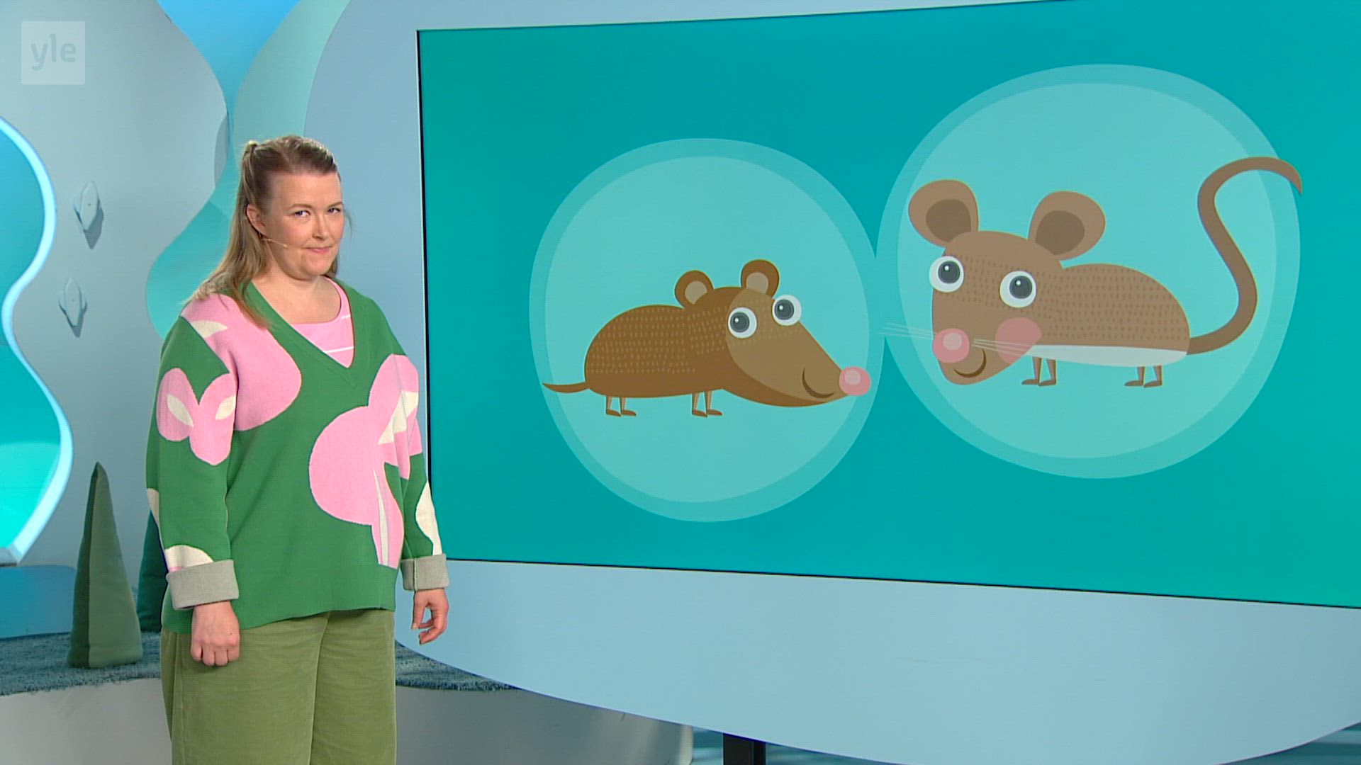 Metsämyyrä ja hiiri | Pikku Kakkonen: Juontopalat | Yle Areena