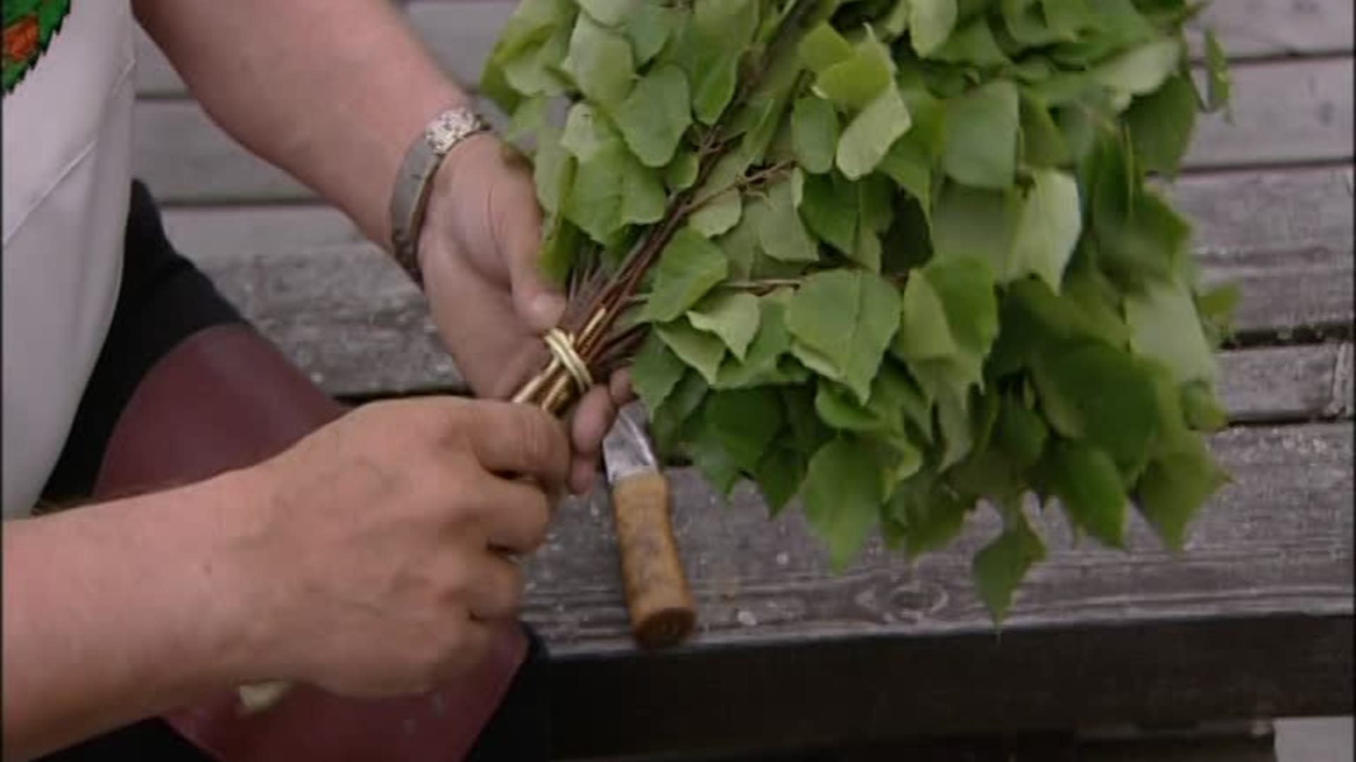 Maailman paras vihta | Yle Areena