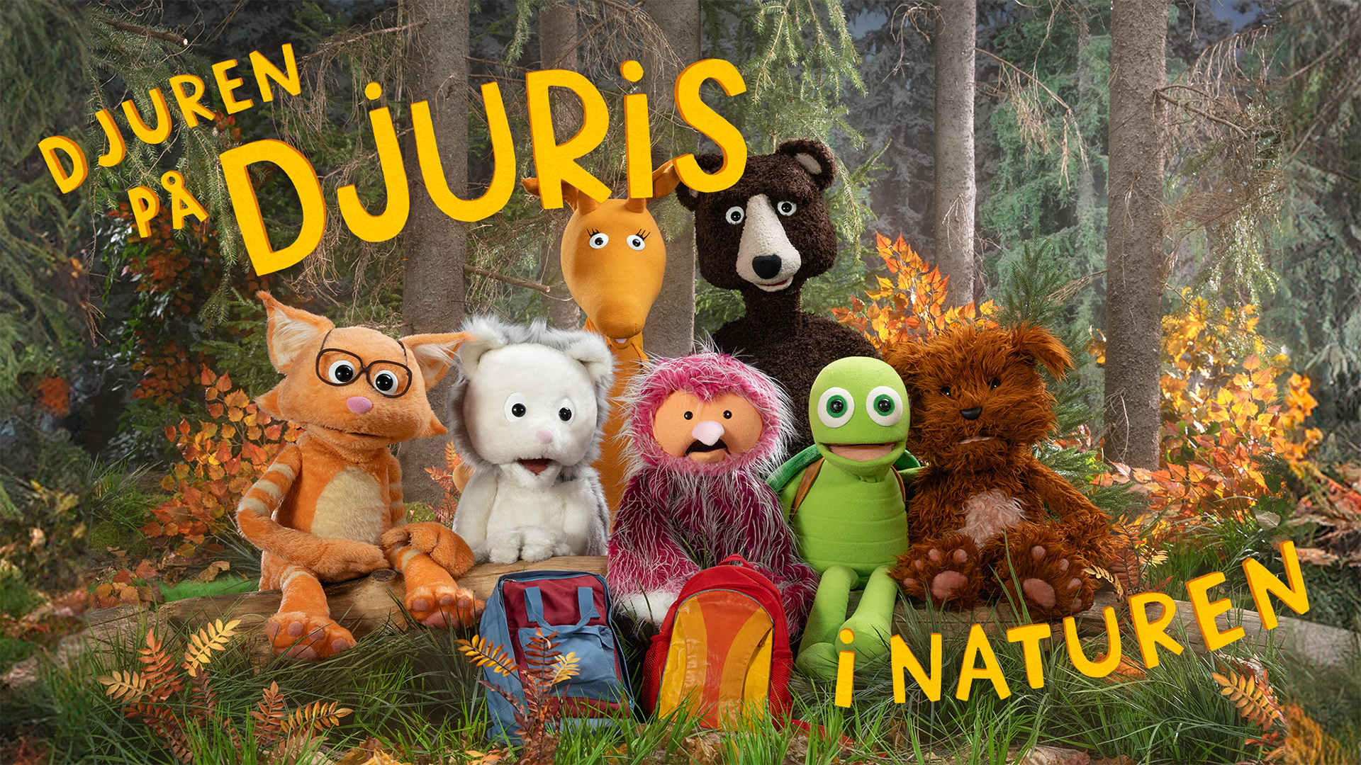 Djuren på Djuris i naturen | Yle Arenan