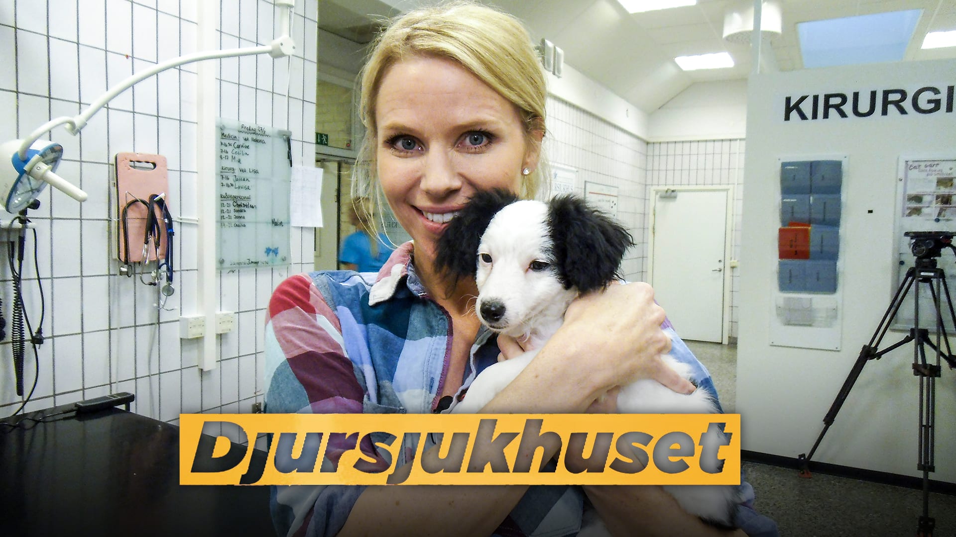 Djuren i mitt liv: Djursjukhuset | Yle Arenan