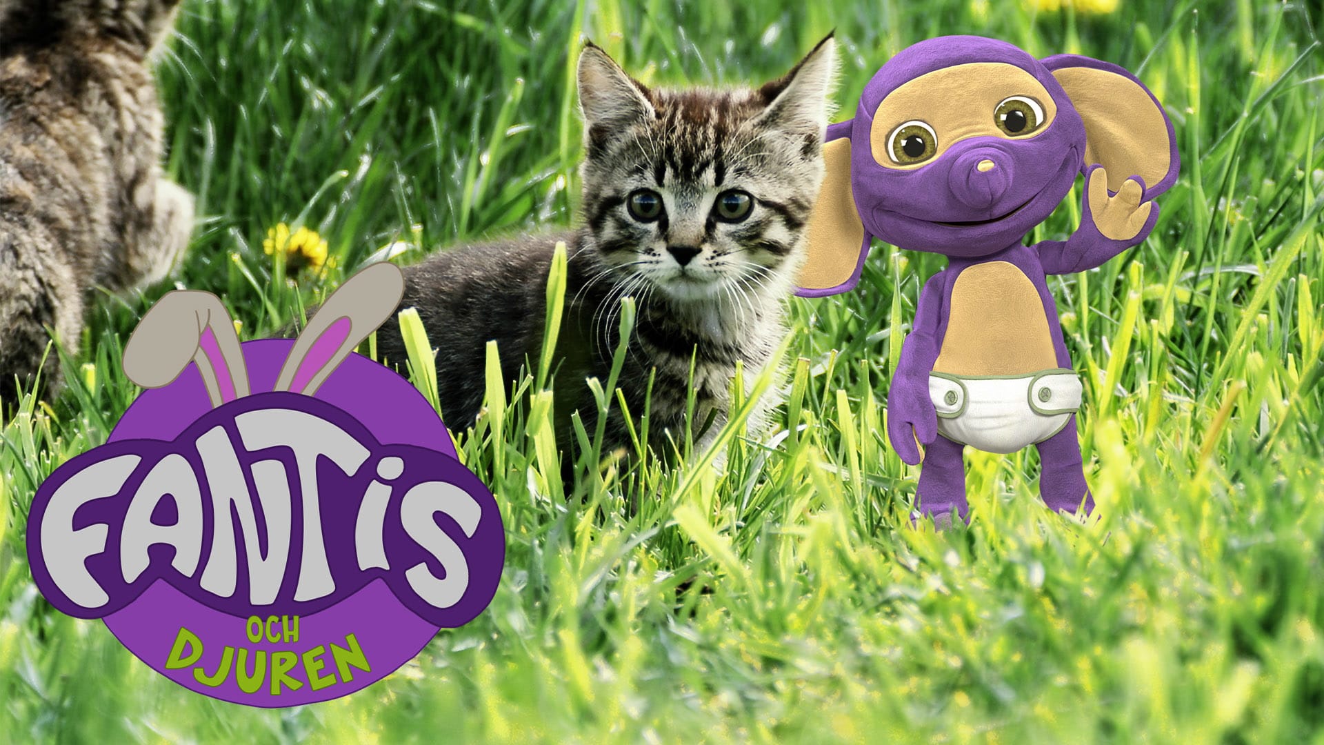 Fantis och djuren | Yle Arenan