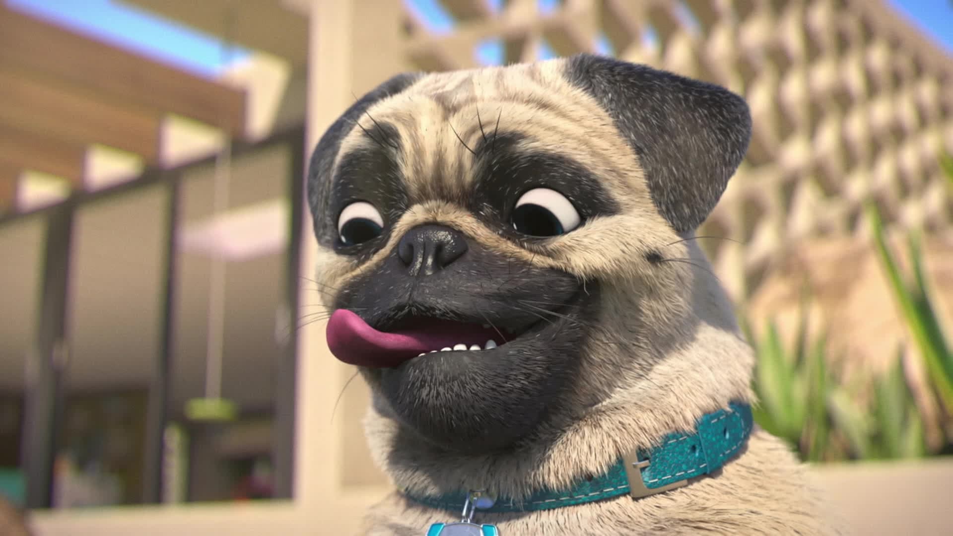 Kutsu | Mahti-Mopsi | Yle Areena