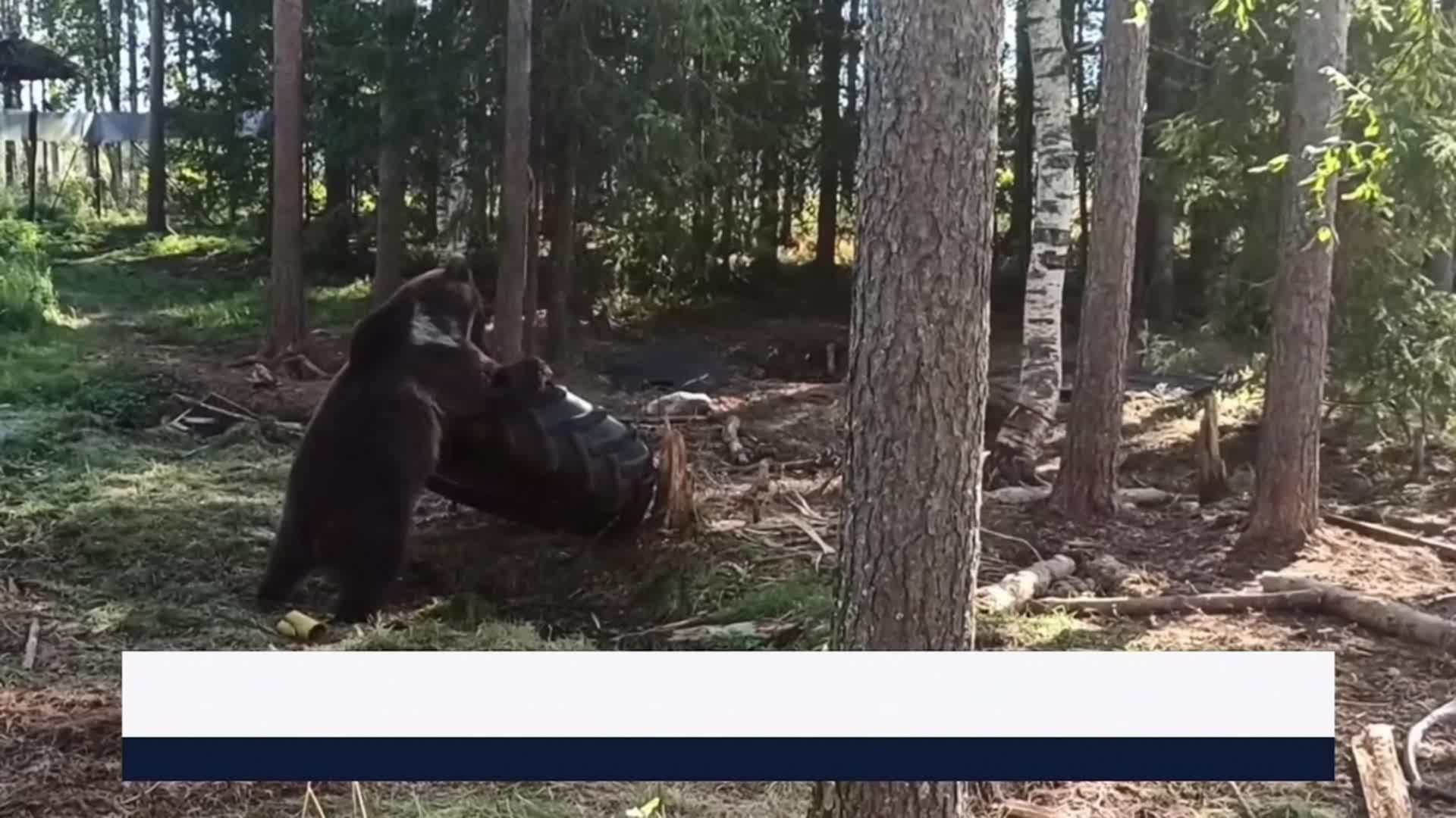 Yle Uutiset Pohjois-Suomi 26.9.2022 | Yle Uutiset Pohjois-Suomi 2021 ...