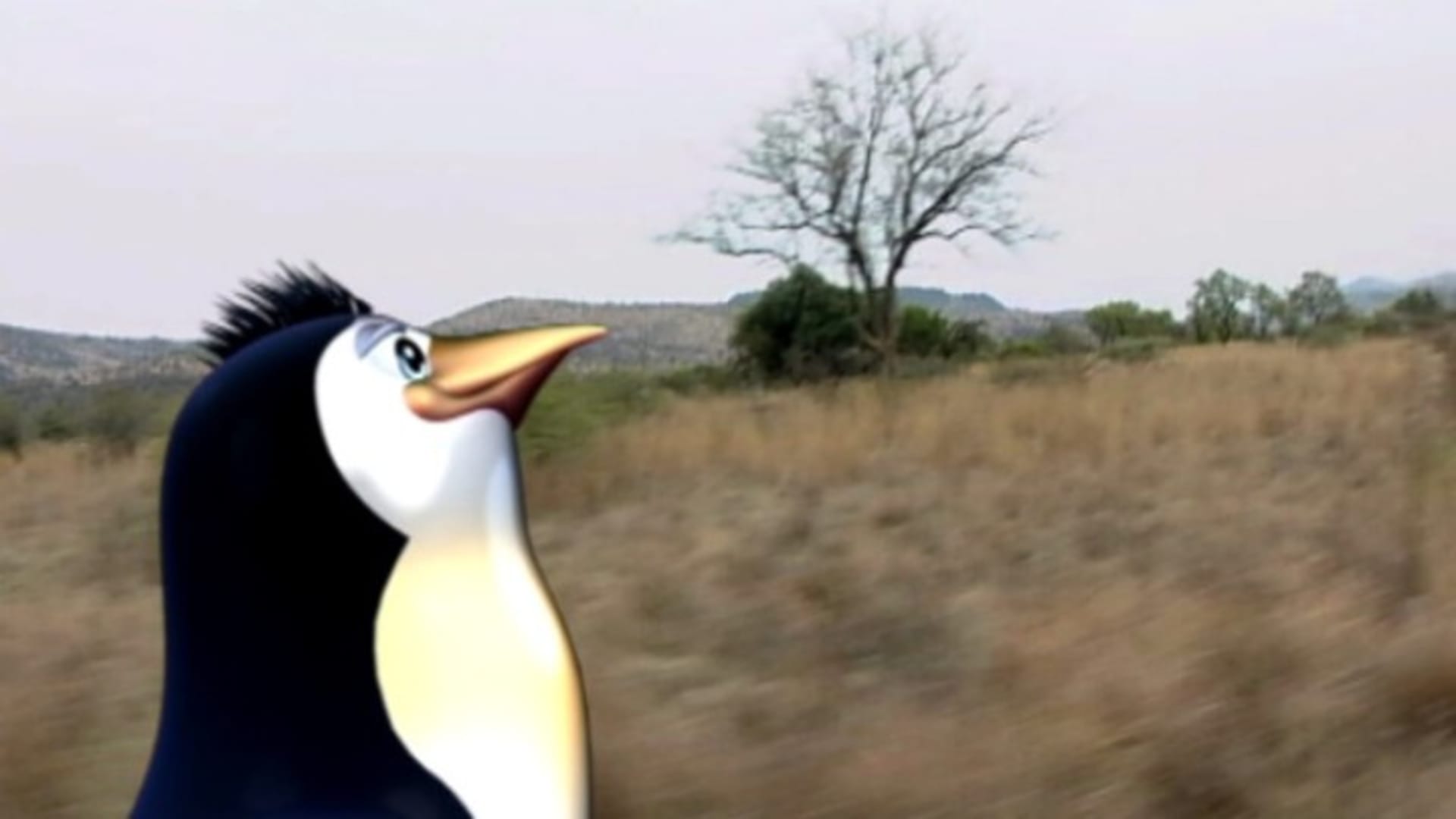 Savanni | Maapallottelua | Yle Areena