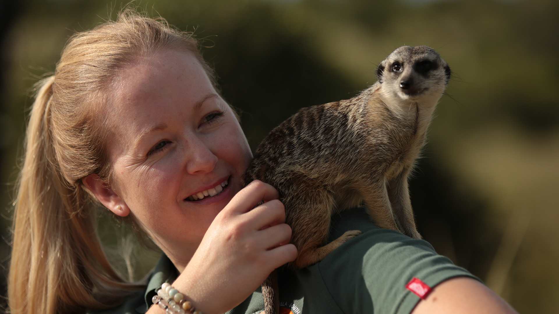 K1, J4: Leijonat ja mangusti | Afrikan eläinten auttajat | Yle Areena