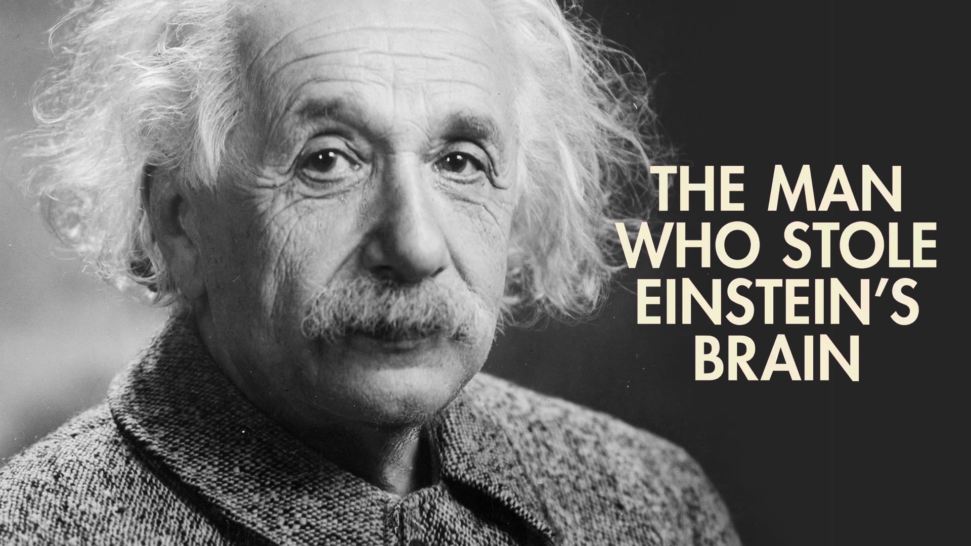 Einsteinin aivot | Yle Areena