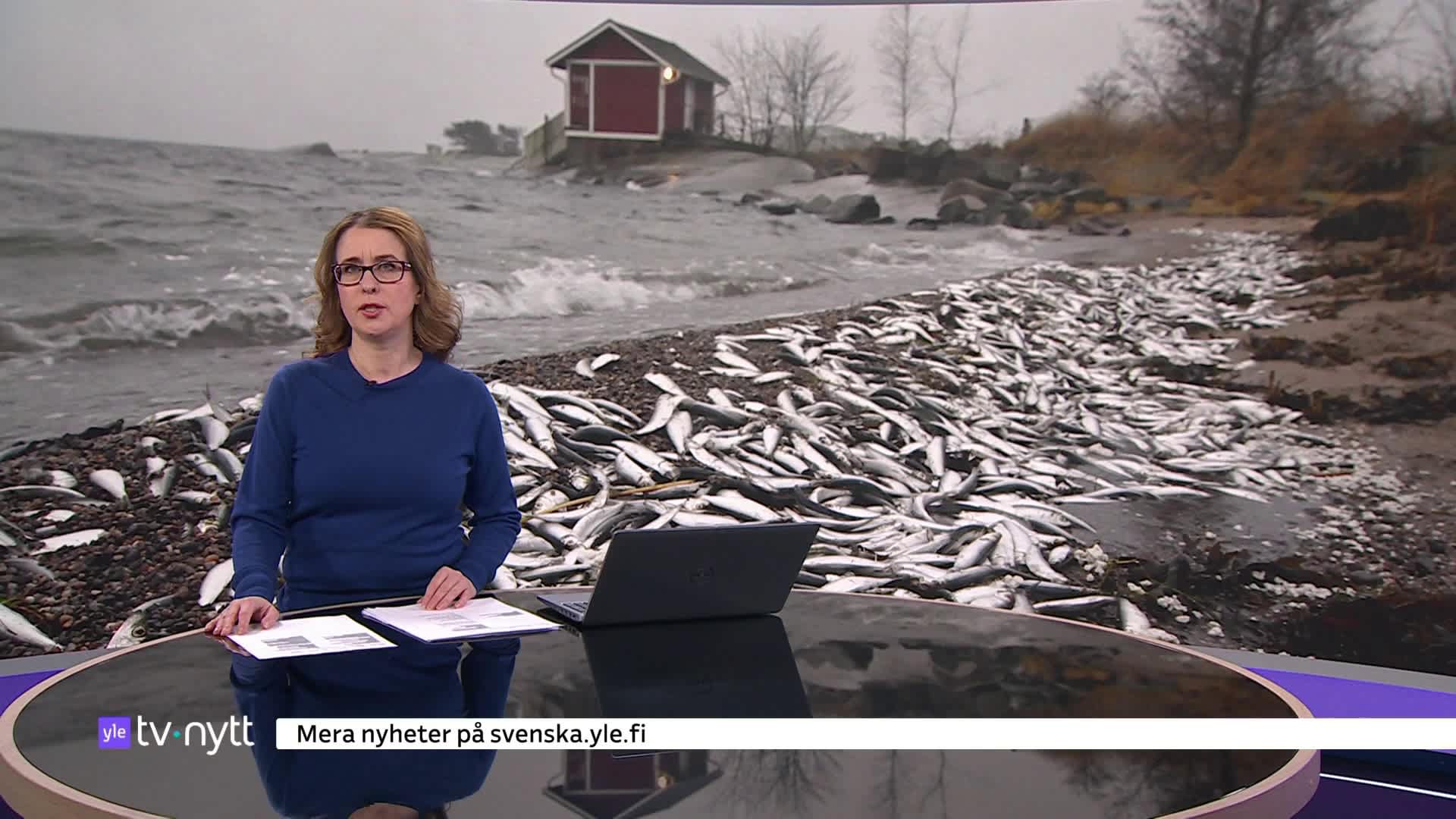 Yle Nyheter TV-nytt 19.30 | Yle Nyheter TV-nytt | Yle Areena