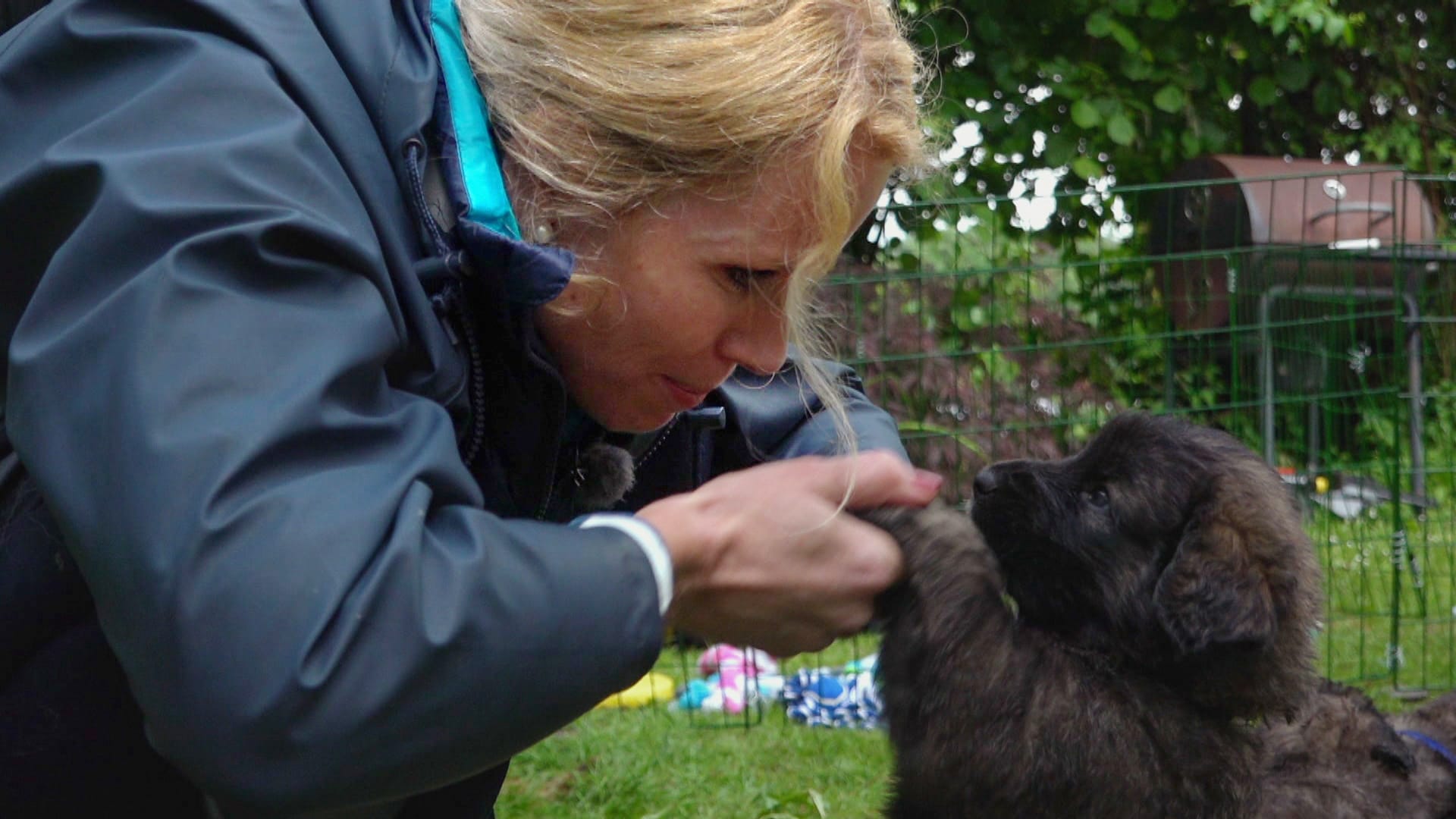 S11, A1: Djursjukhuset | Djuren i mitt liv: Djursjukhuset | Yle Arenan