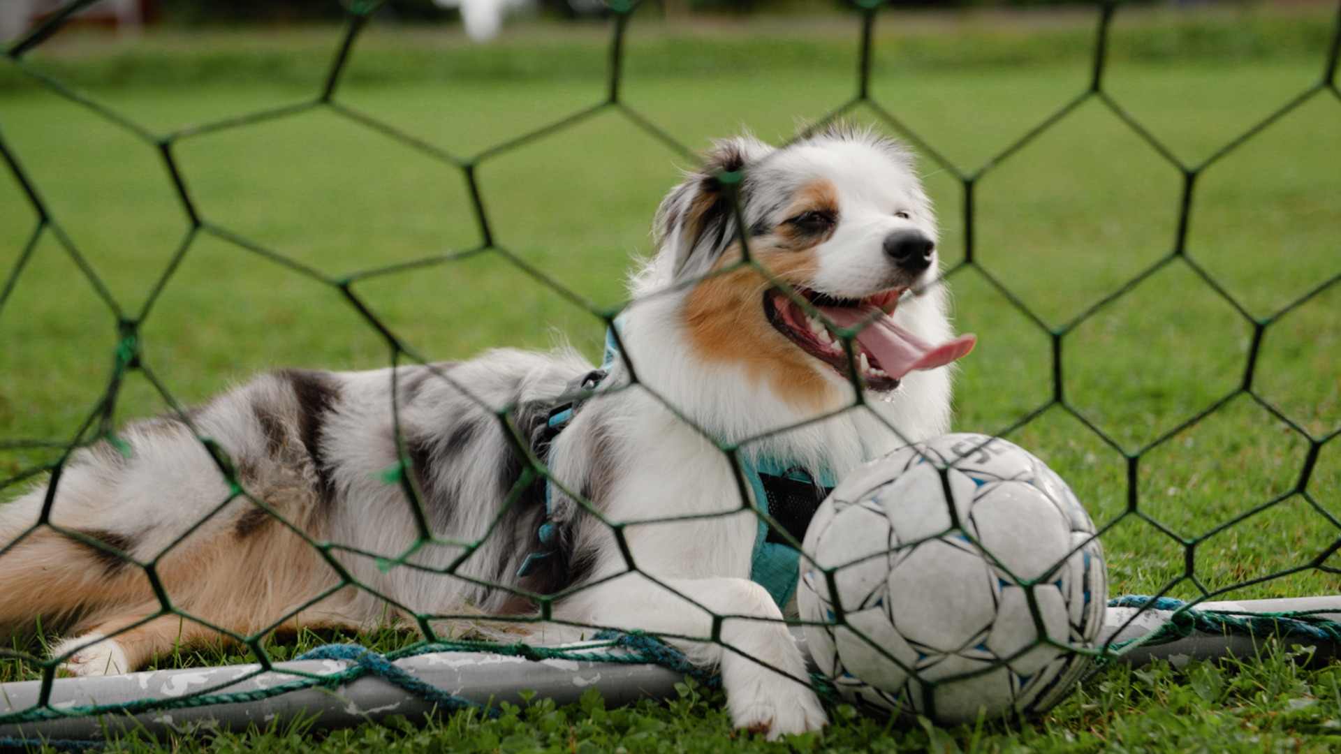 S2, A9: Tyra spelar fotboll | Tyras äventyr | Yle Arenan