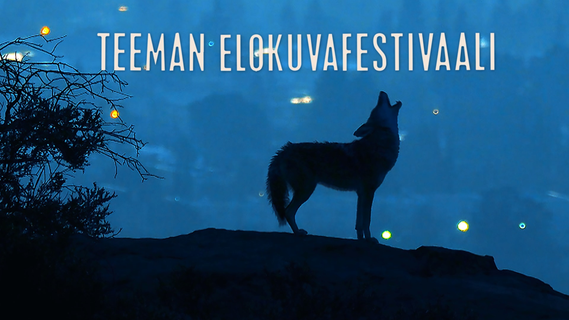 Teeman elokuvafestivaali esittää | Yle Areena