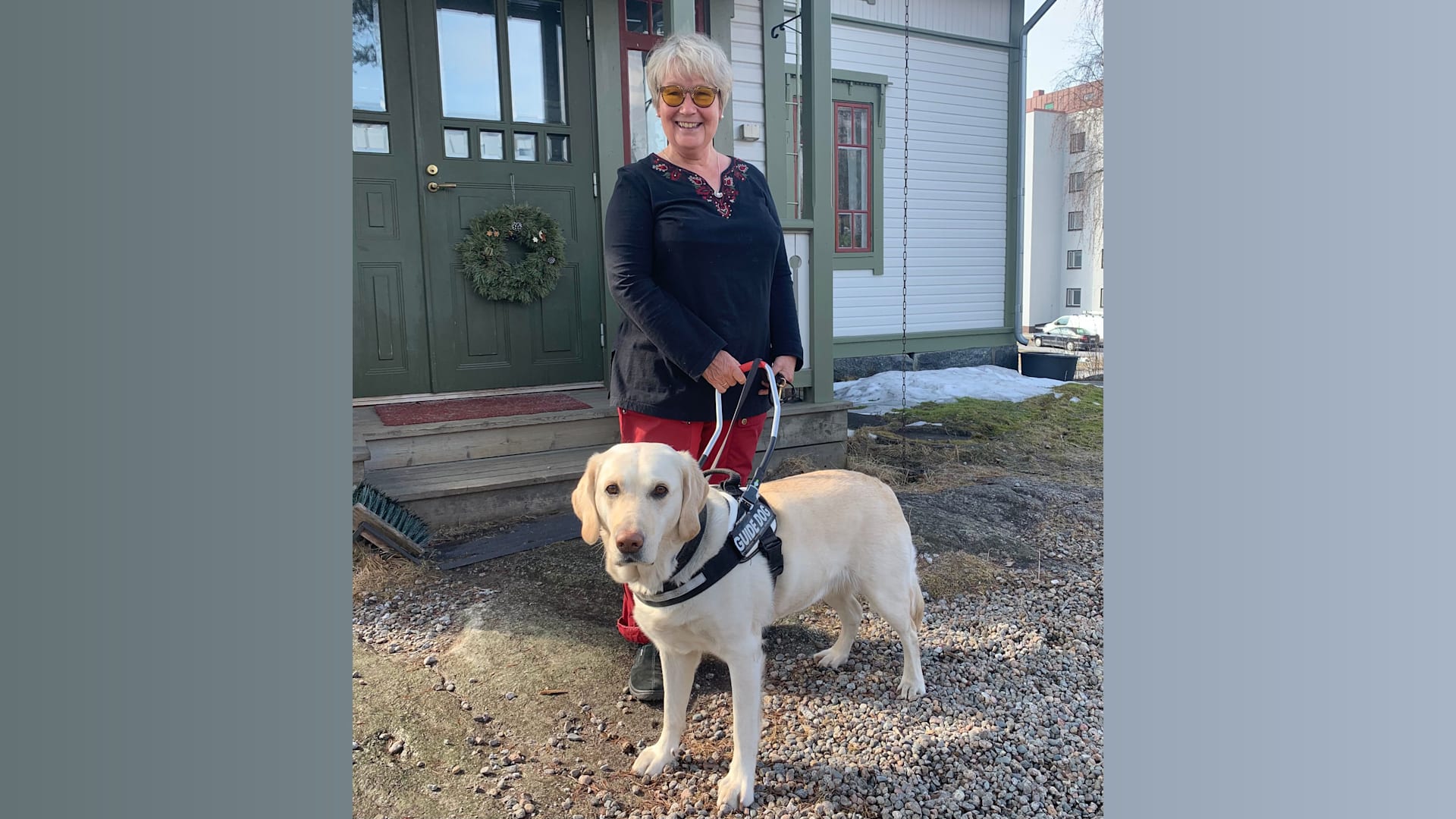 Rädslan att inte våga gå ut fick Maja att ansöka om en ledarhund - idag ...