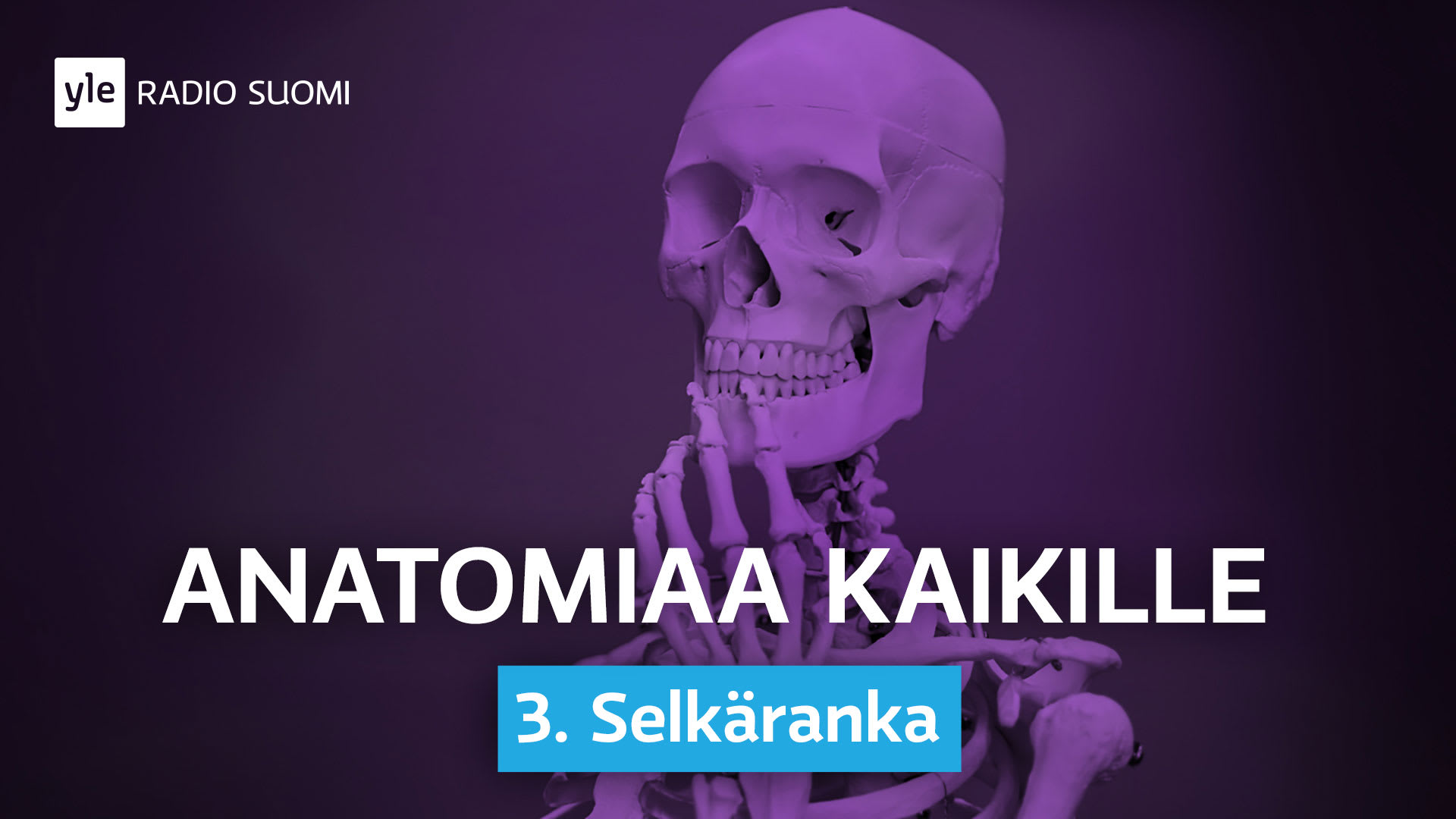 Selkäranka | Anatomiaa kaikille | Yle Areena