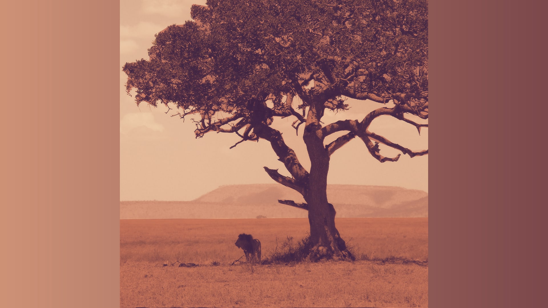 Savanni | Yle Areena