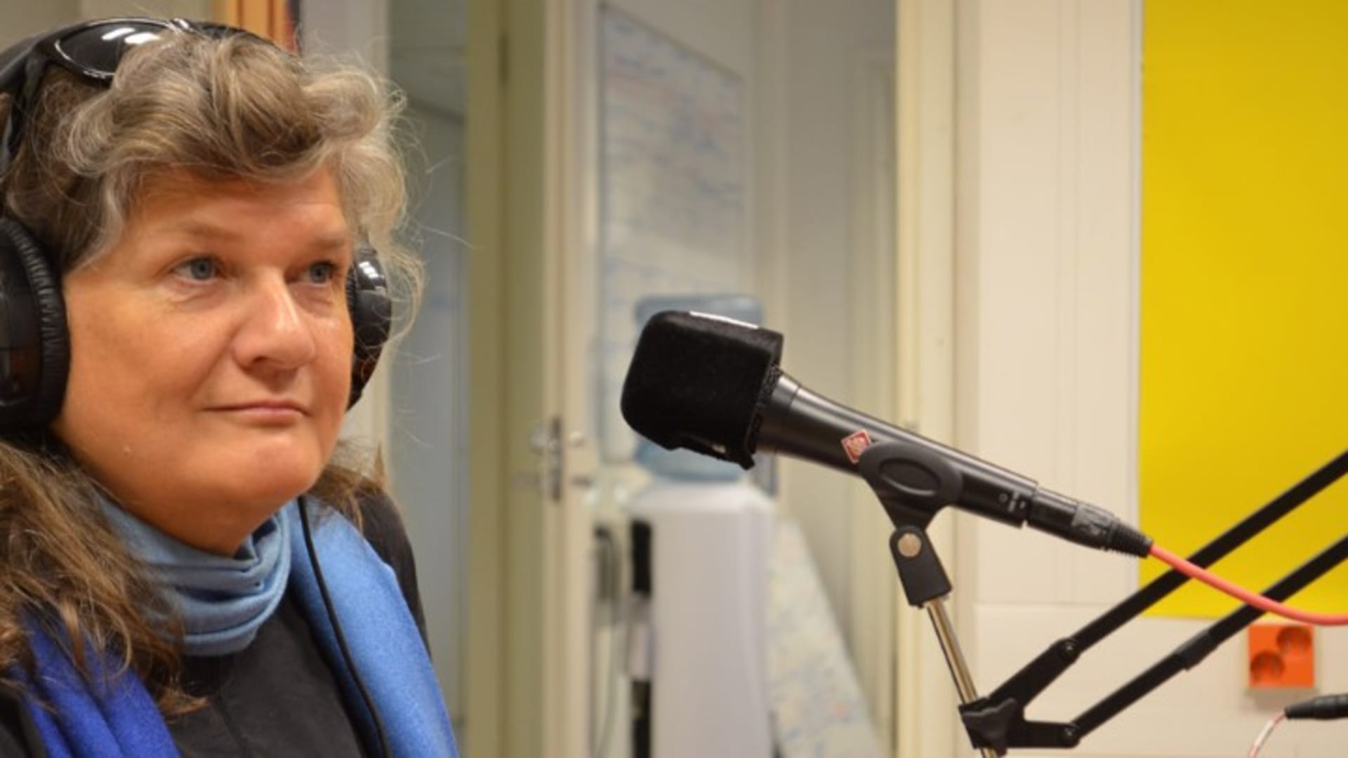 Puheen Aamu: Erja Manto: Radio on ruisleipää | Puheen Aamu | Yle Areena